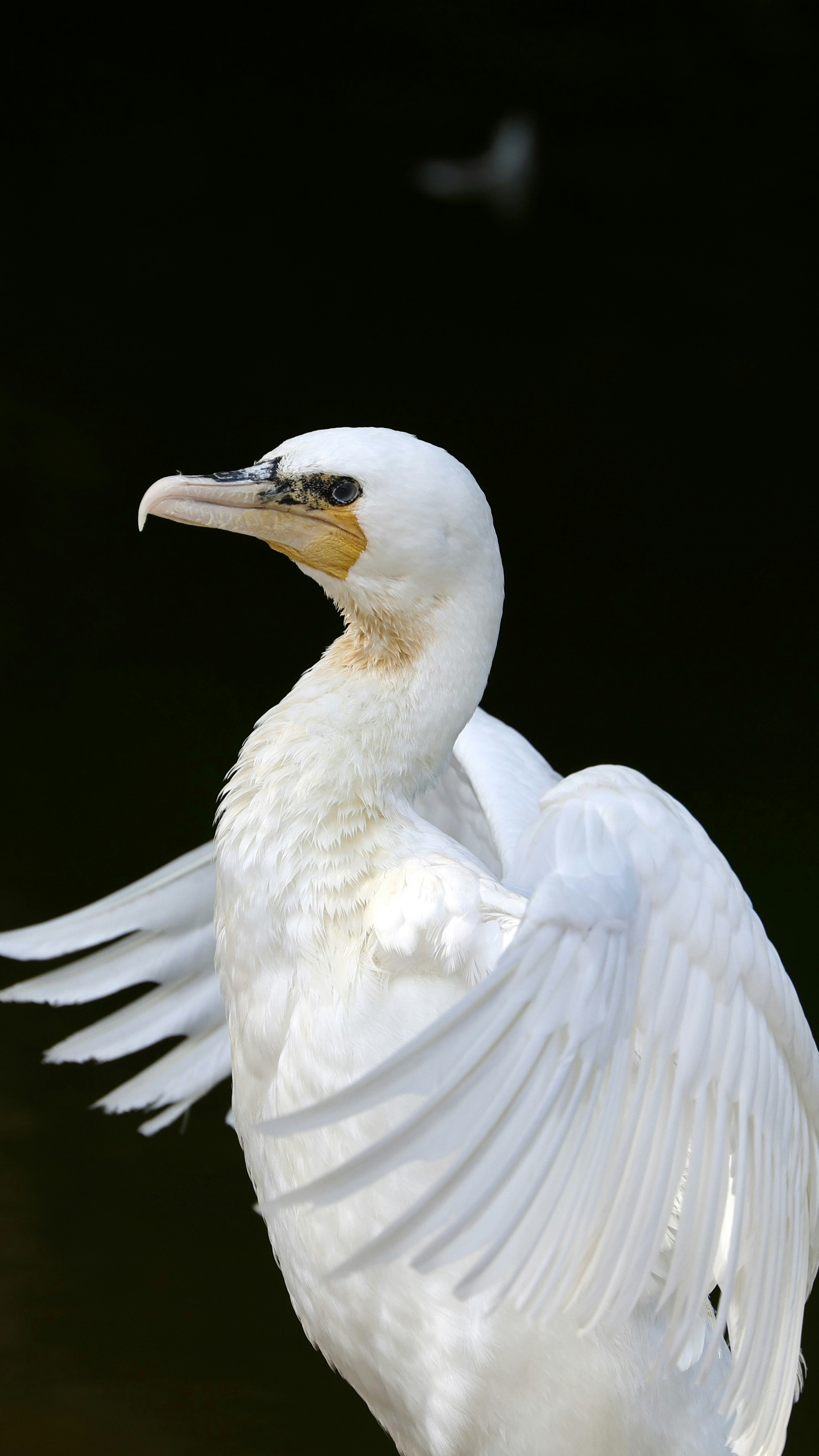 Photo by DL314 Lin with Canon EOS R5