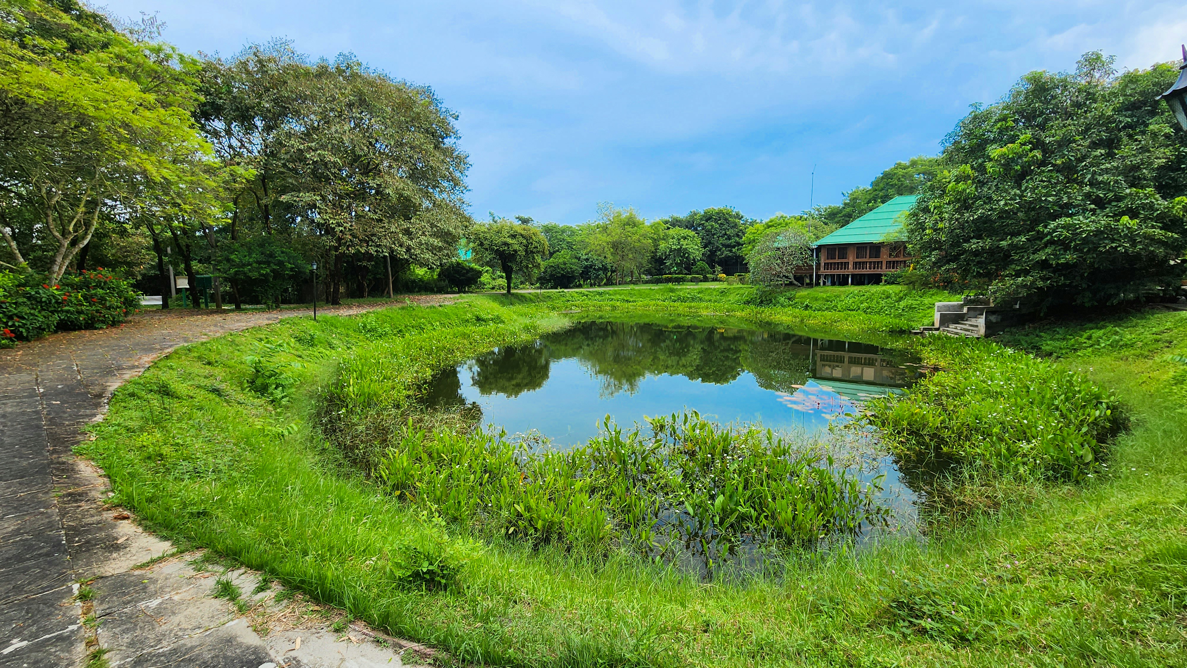 A small pond in a park photo – Free Kazi & kazi tea resort Image on ...