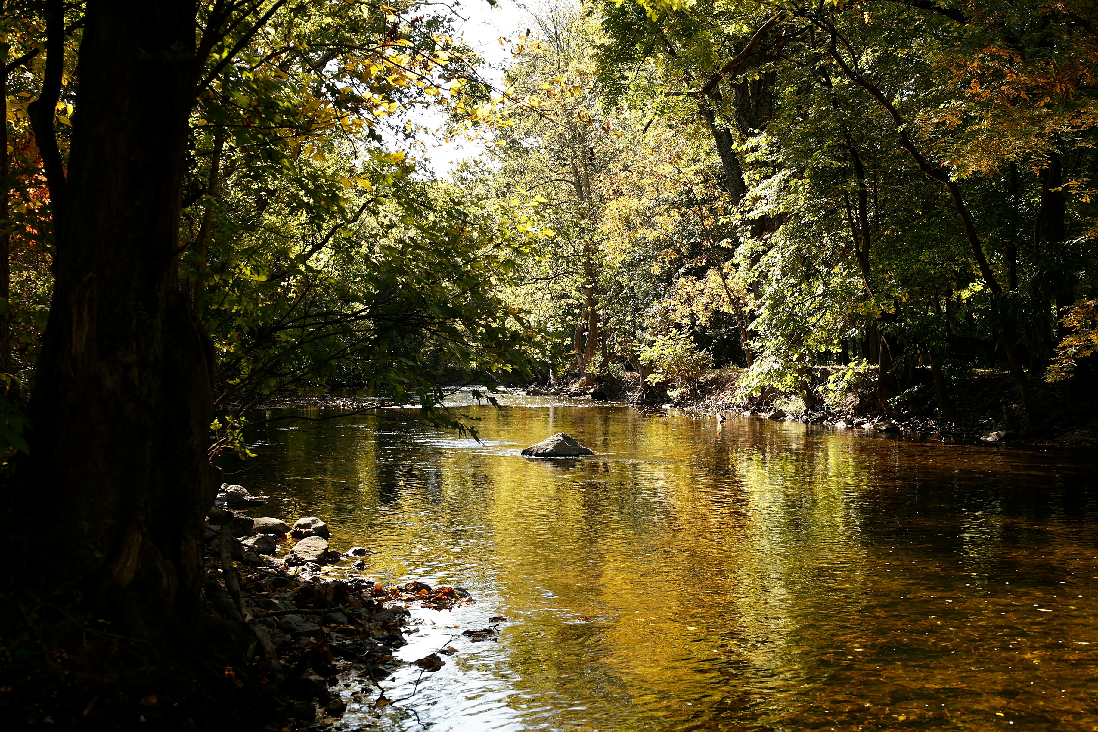 Photo by Sherebyah Tisbi with Canon EOS R6