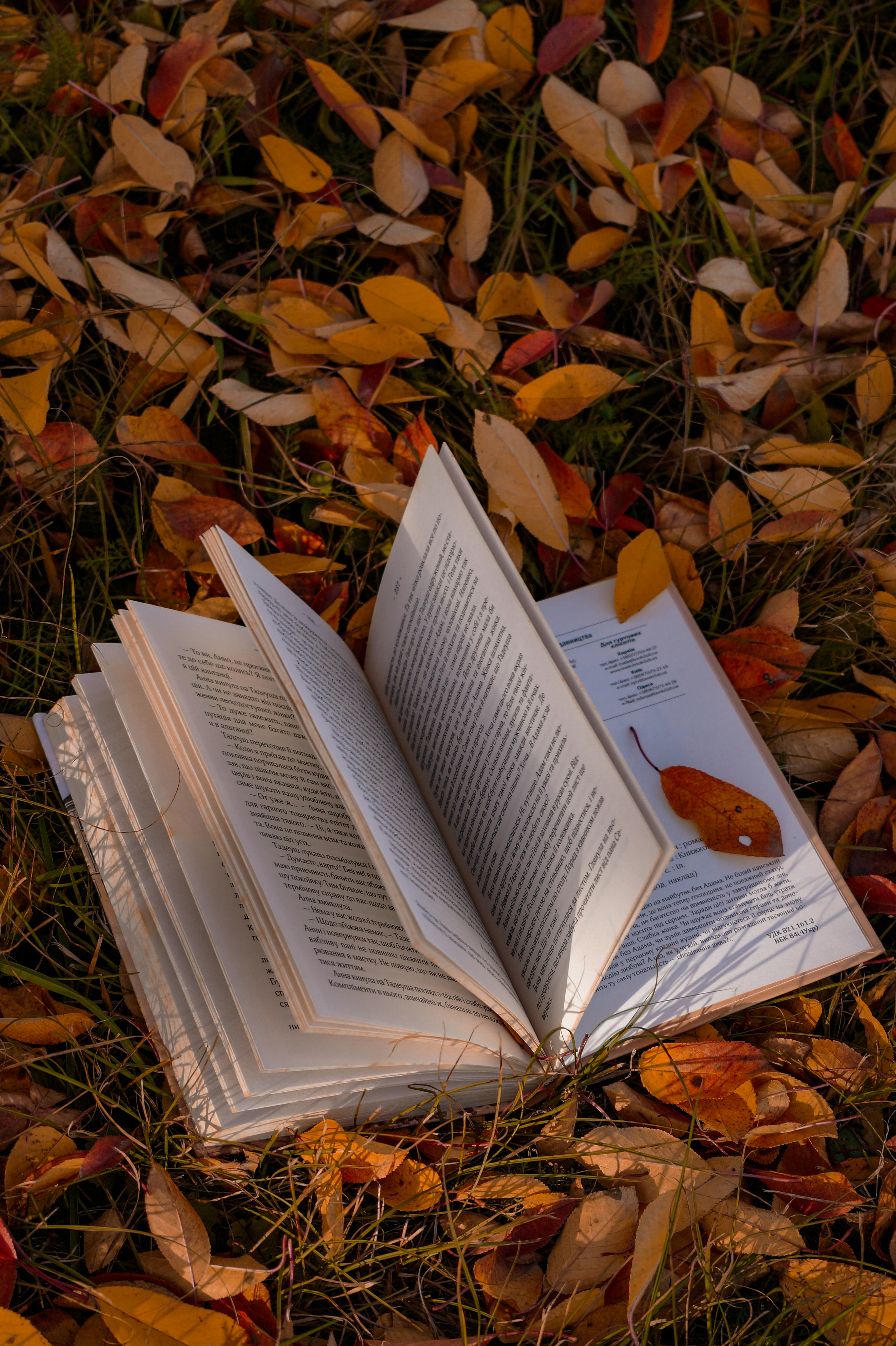 A book on the ground photo – Free Ukraine Image on Unsplash