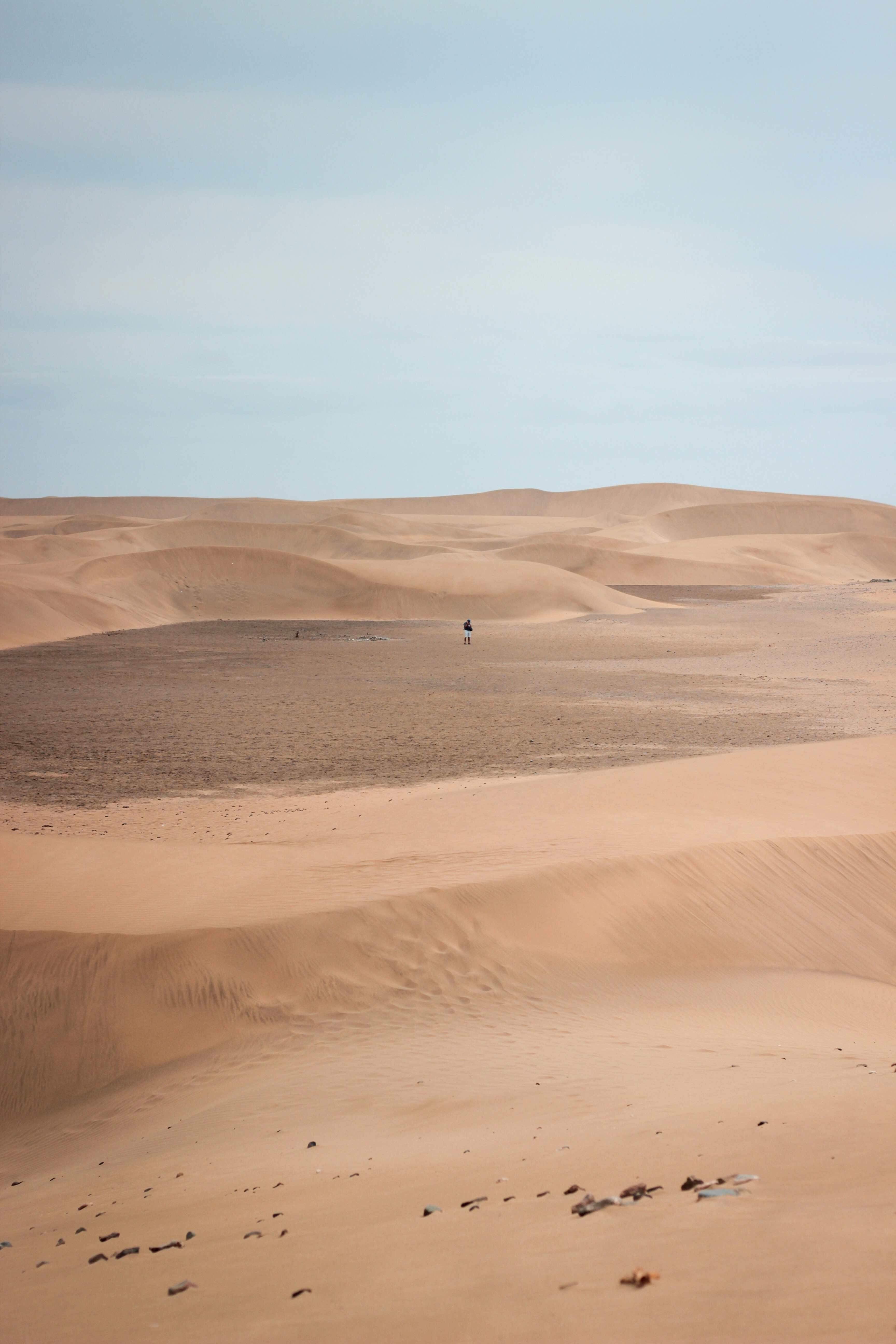 A solitary figure traversing the vast expanse of a desert landscape, characterized by undulating dunes and a sparse terrain. The scene evokes a sense of isolation and adventure.