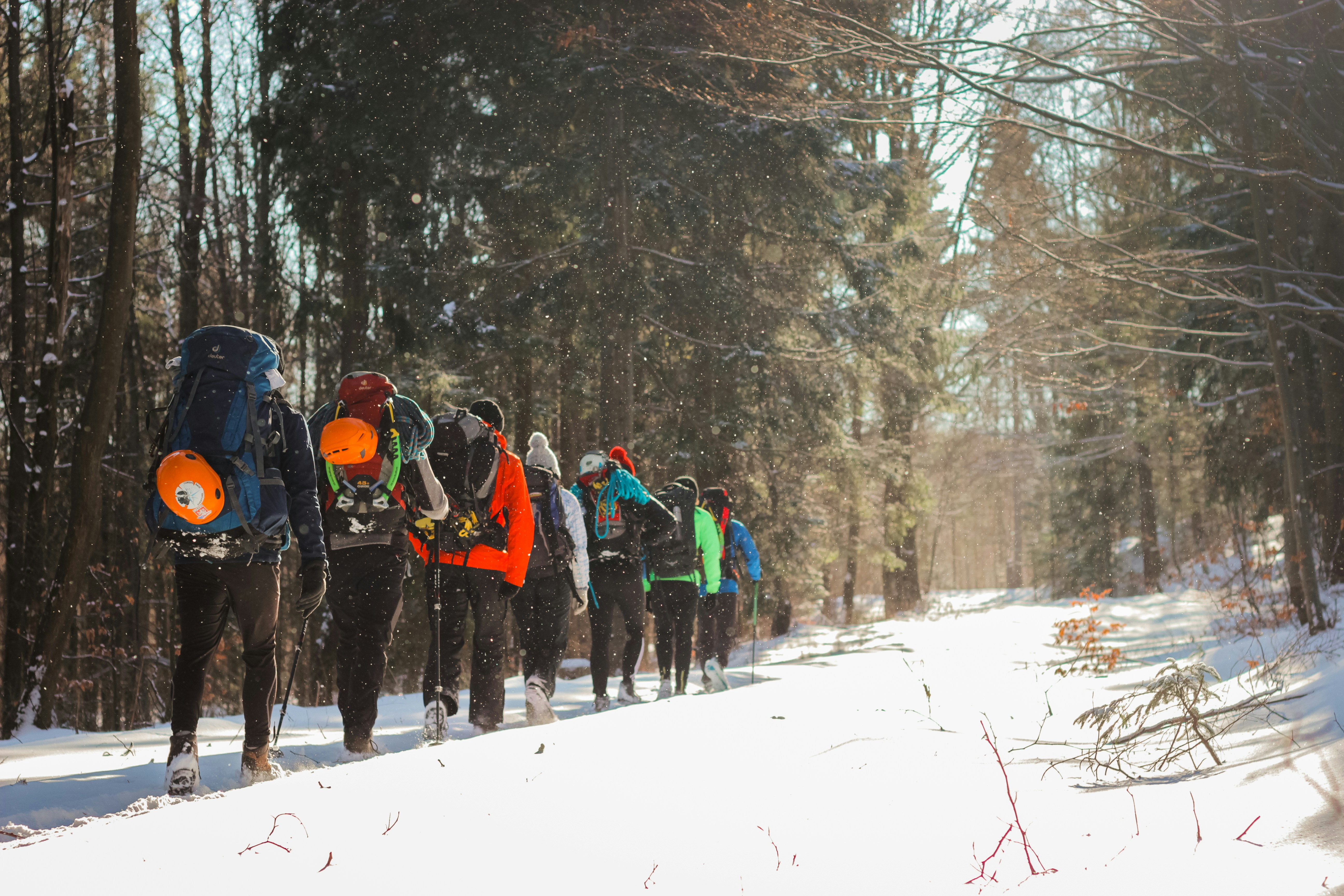Trail of Pack-Backpackers: Concord in the Snow