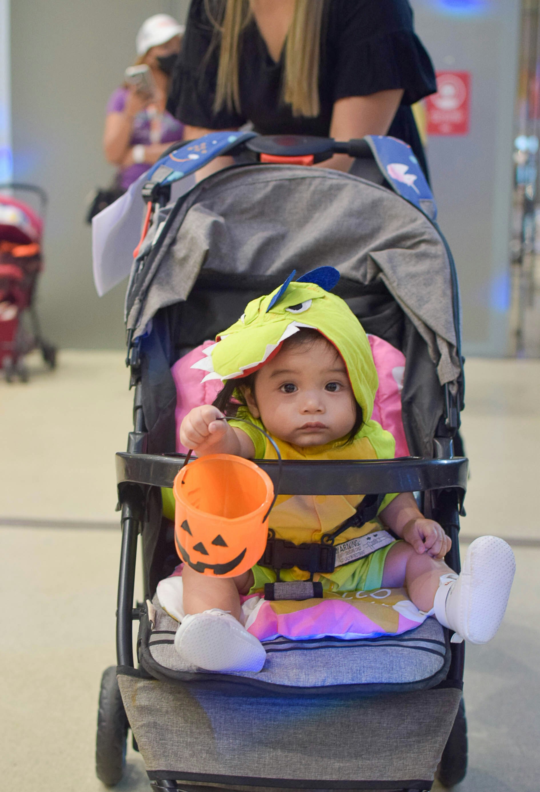 Un bébé dans une poussette photo – Photo Promeneur Gratuite sur Unsplash