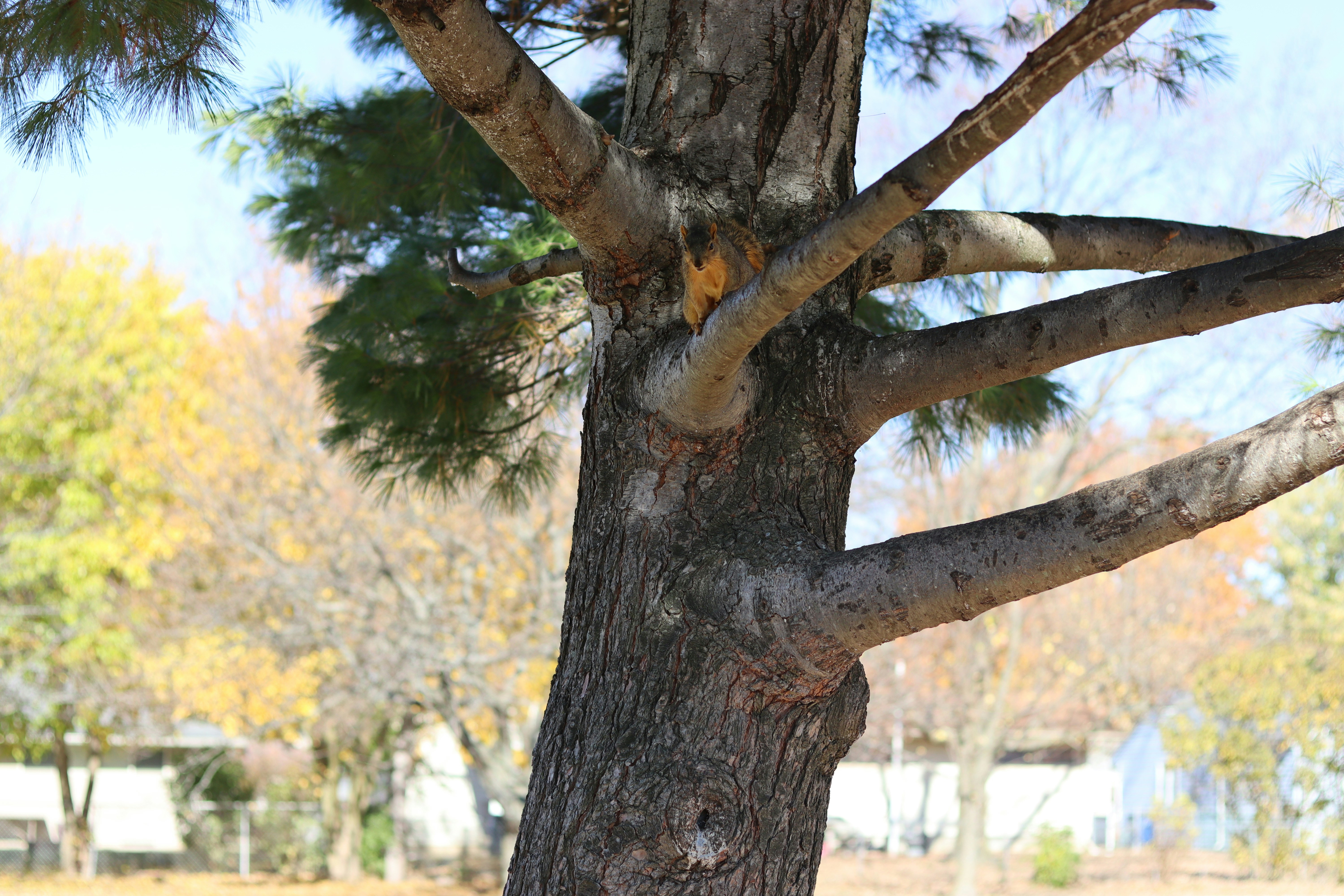 Photo by K F with Canon EOS 850D