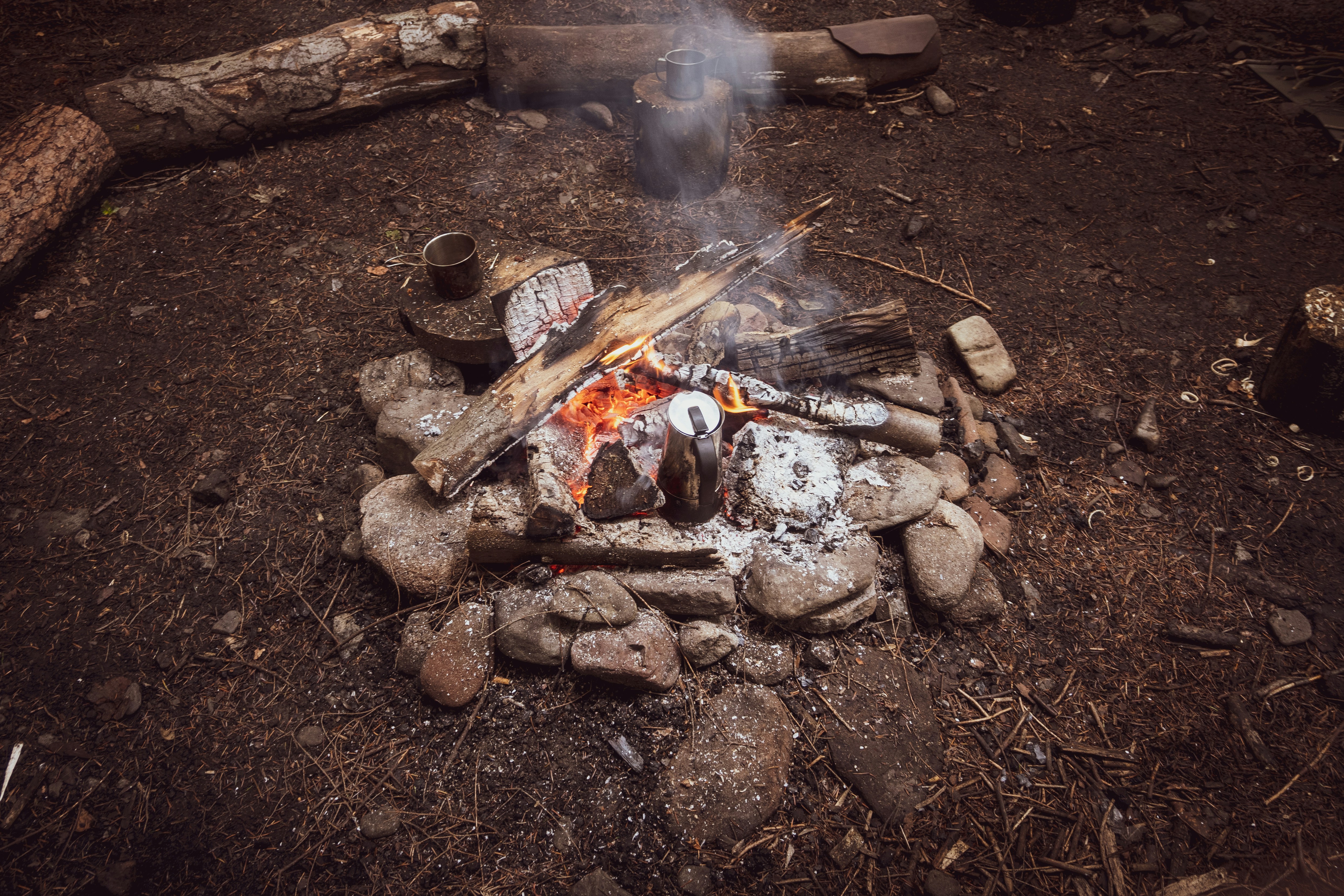 Bushcraft Pictures [HD] | Download Free Images on Unsplash