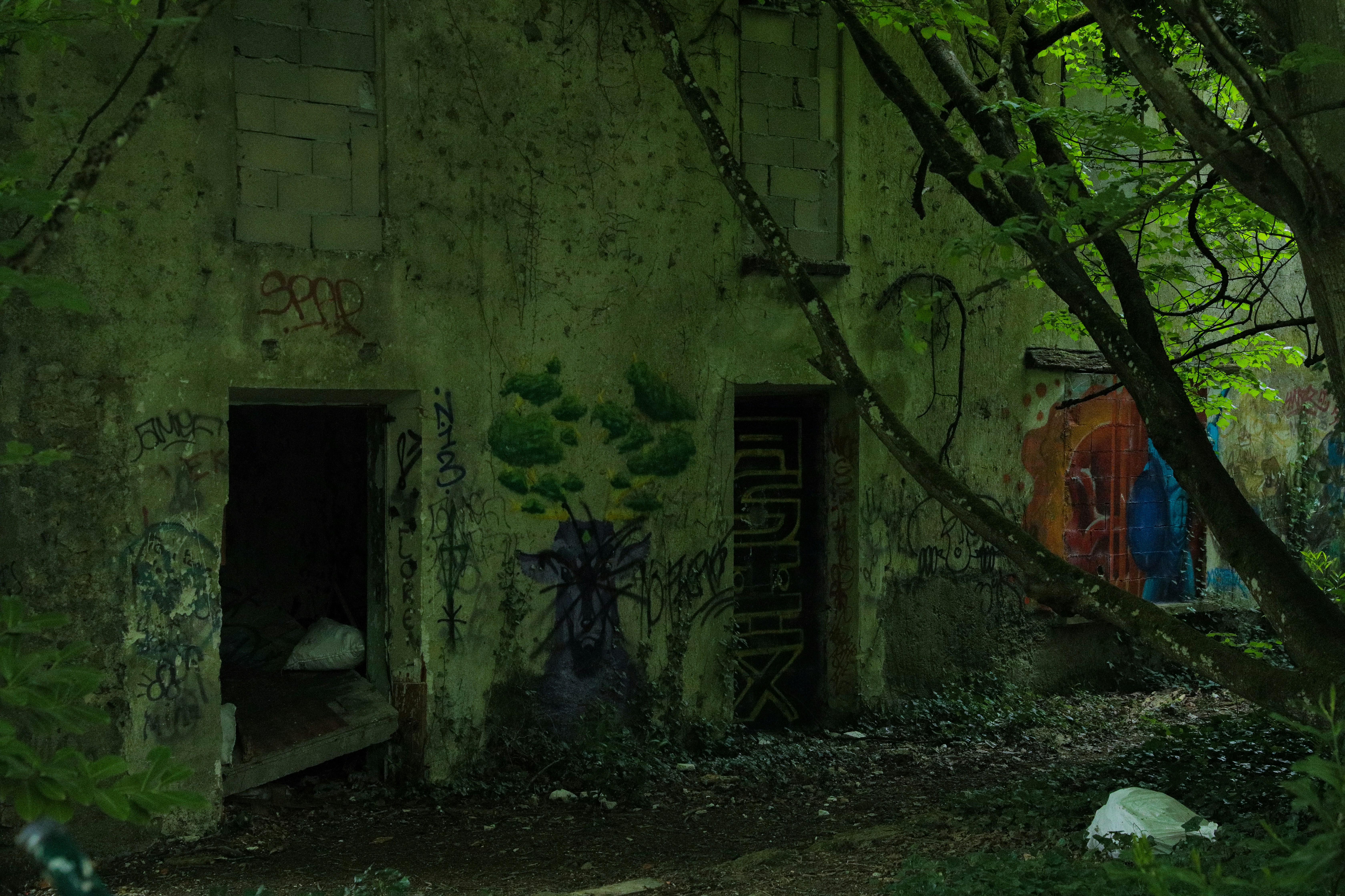 Ivy-Locked Ruin: Graffiti, Moss, and Shadowed Doorways
