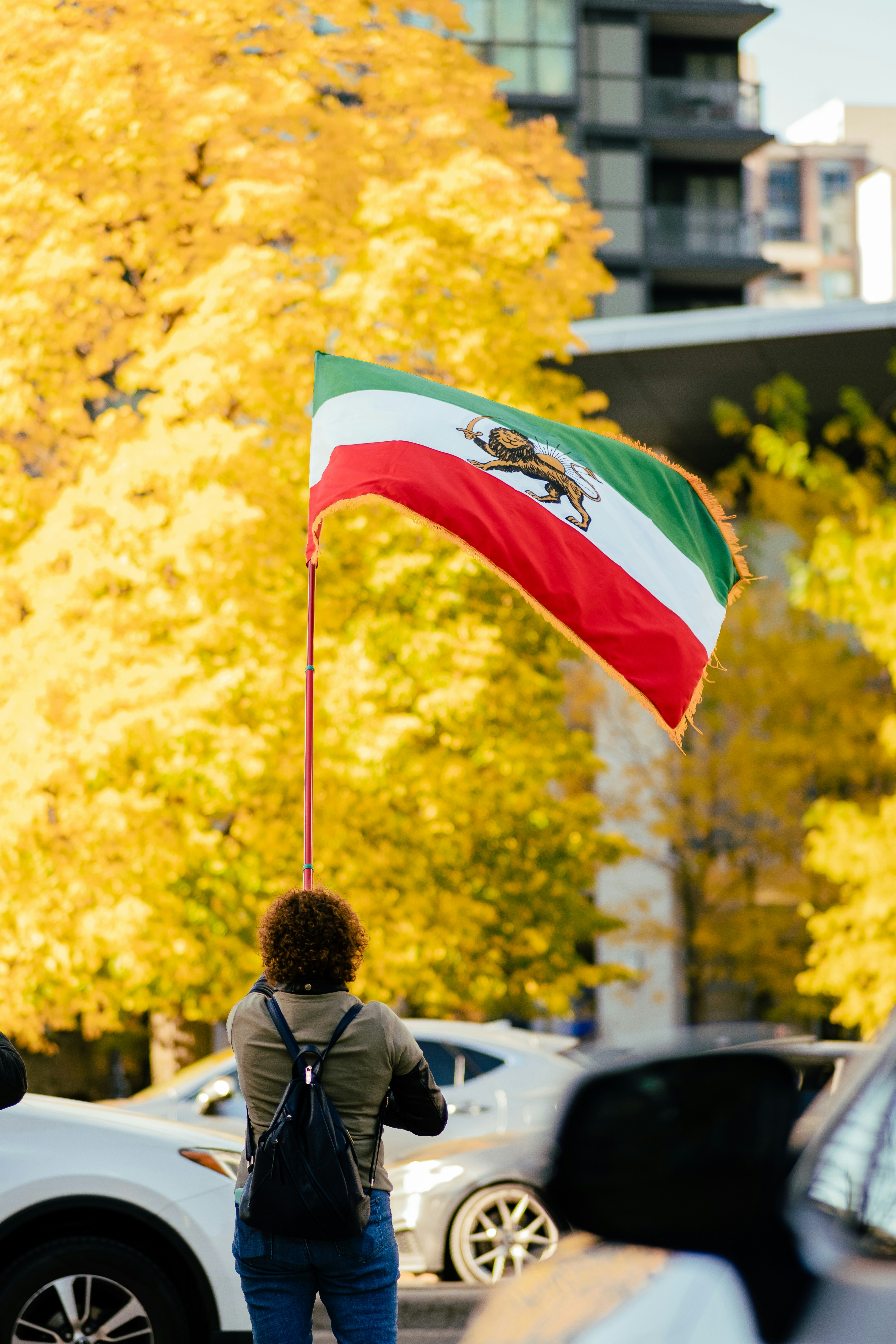 a person holding a flag