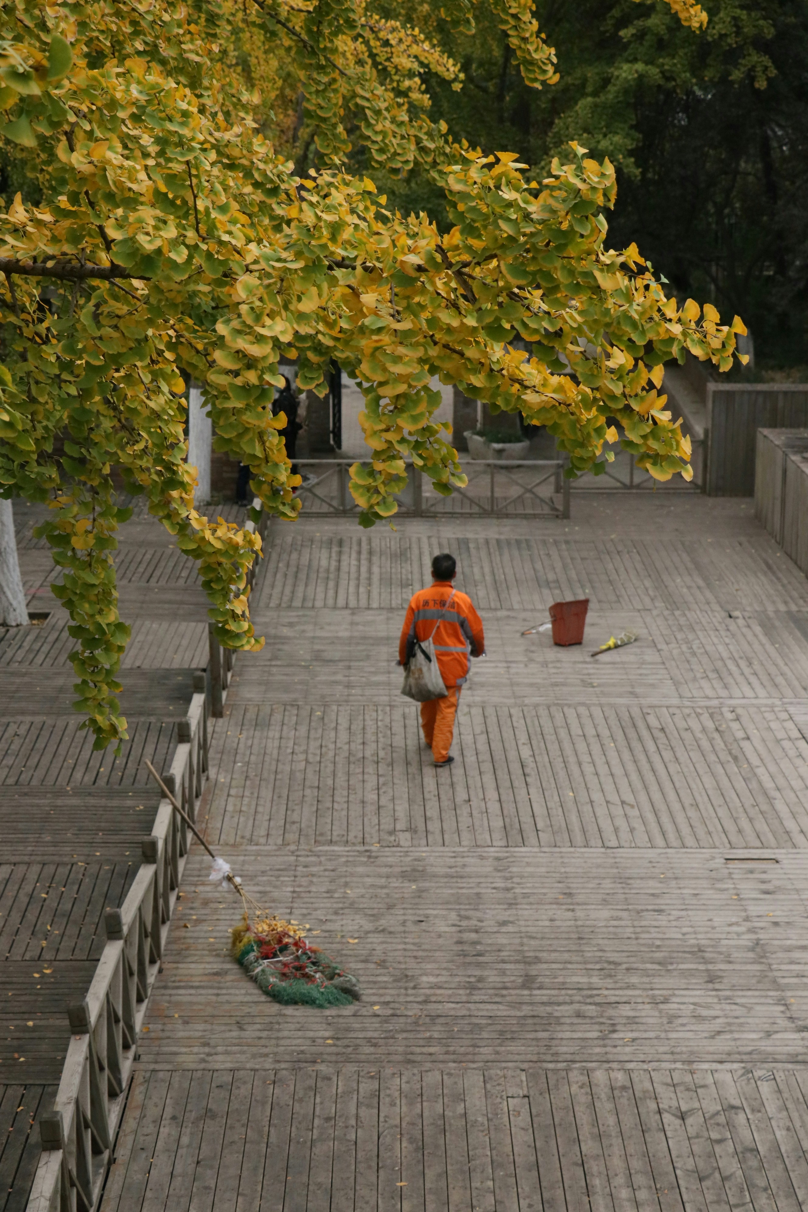 Orange-clad Worker Walks Away Under a Canopy of Golden Leaves in a Quiet Stone Courtyard