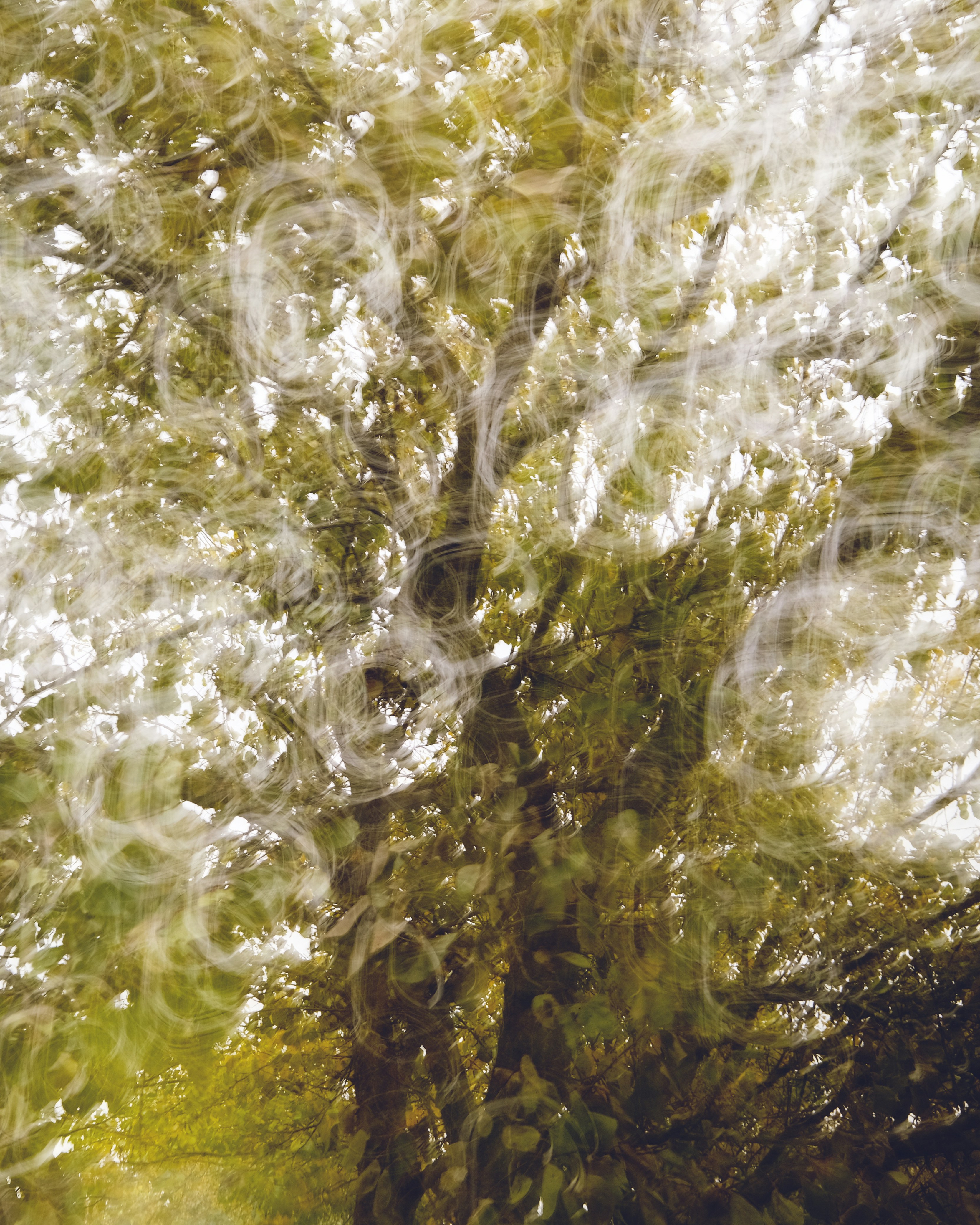 A swirling blend of greens and yellows captures the motion of leaves in a gentle breeze, evoking a sense of tranquility.