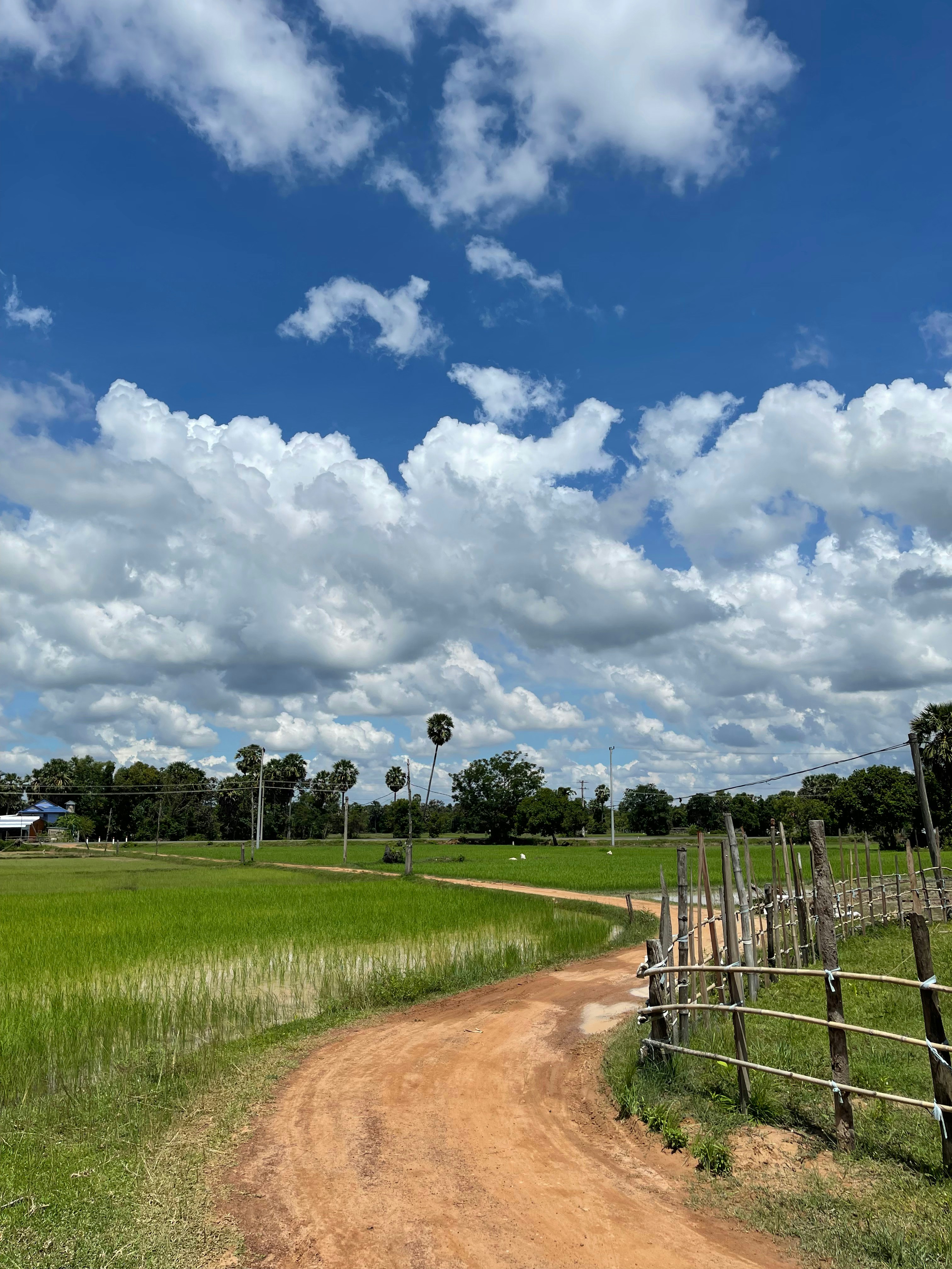 Dusty Rural Trail Meanders Toward a Bright Horizon