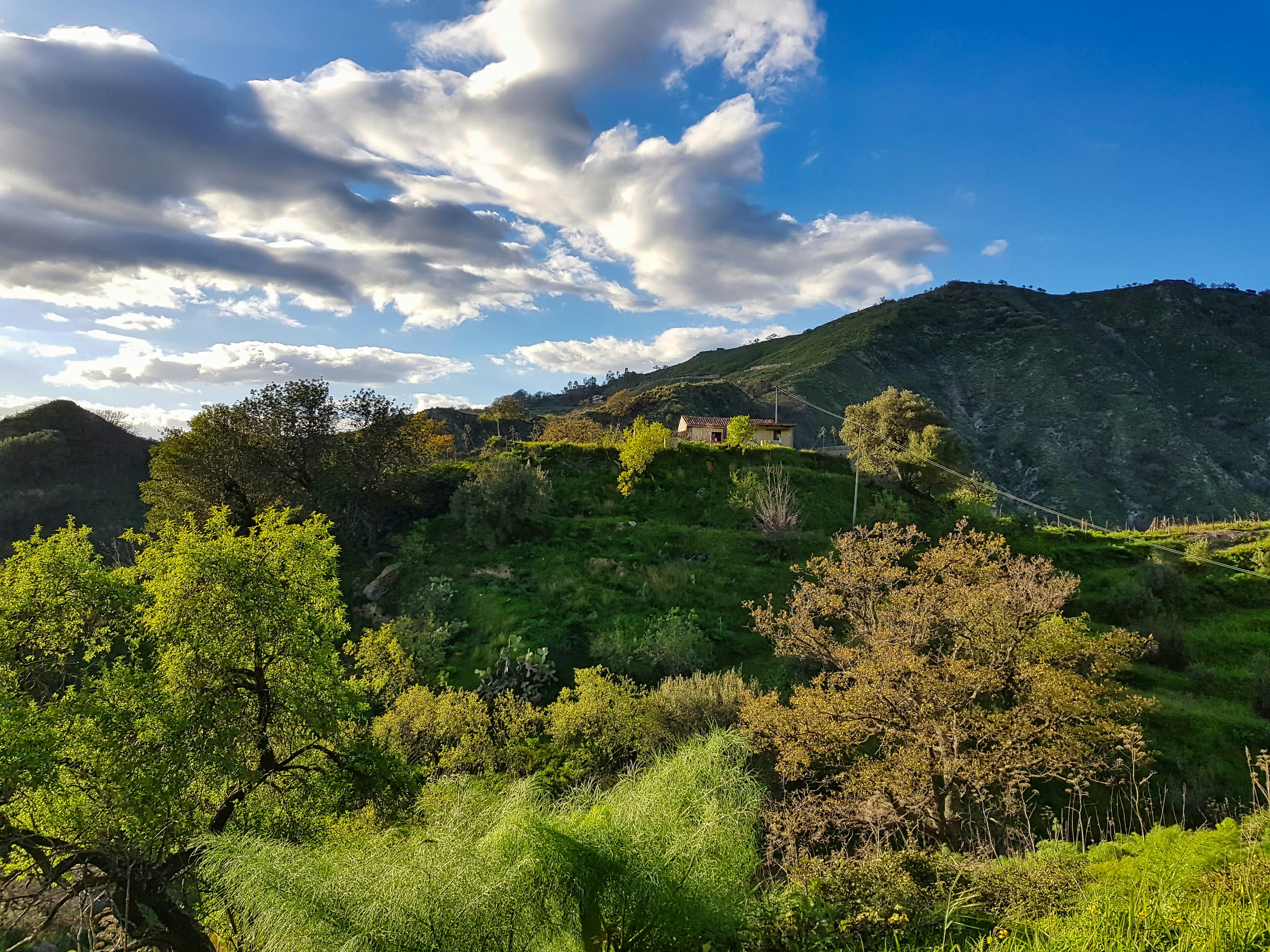 a landscape with trees and hills
