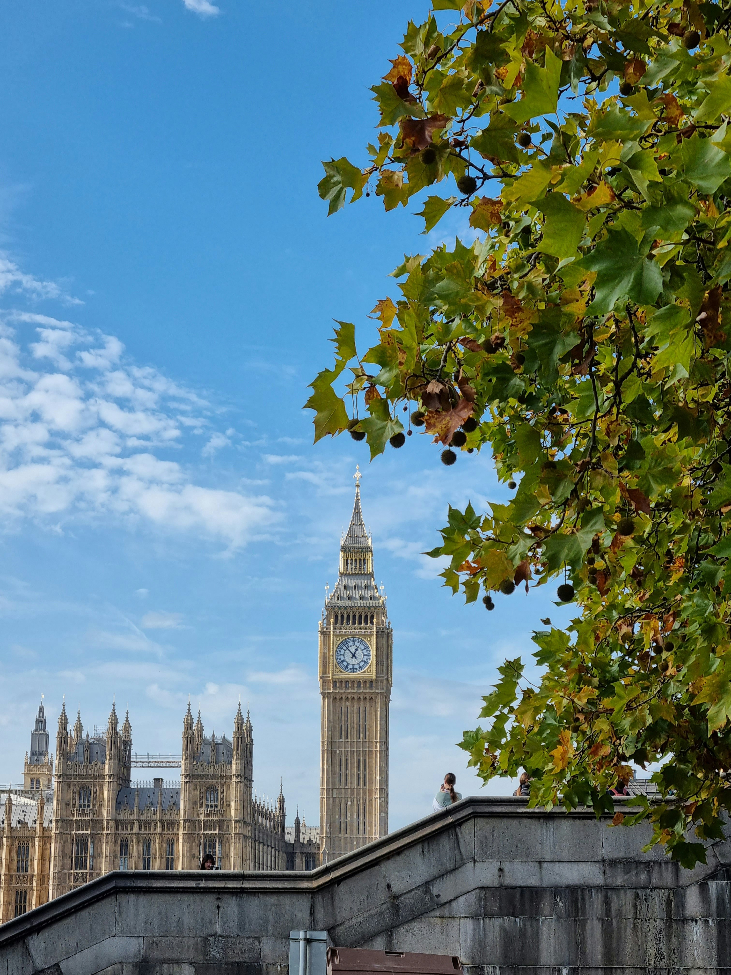 Clocktower Overlook: Big Ben and Leafy Edge