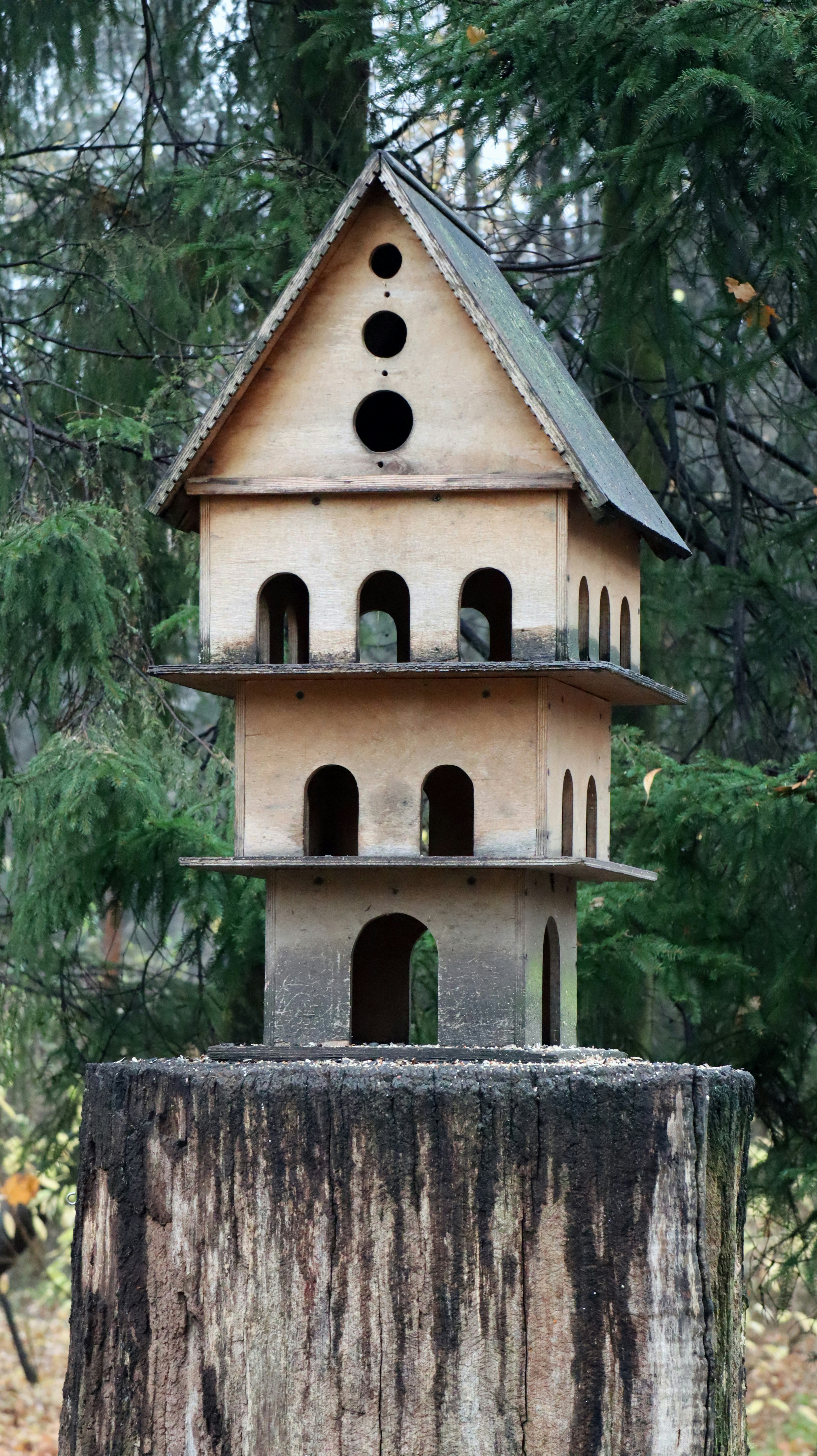 a birdhouse on a tree with A Christmas Story House in the background