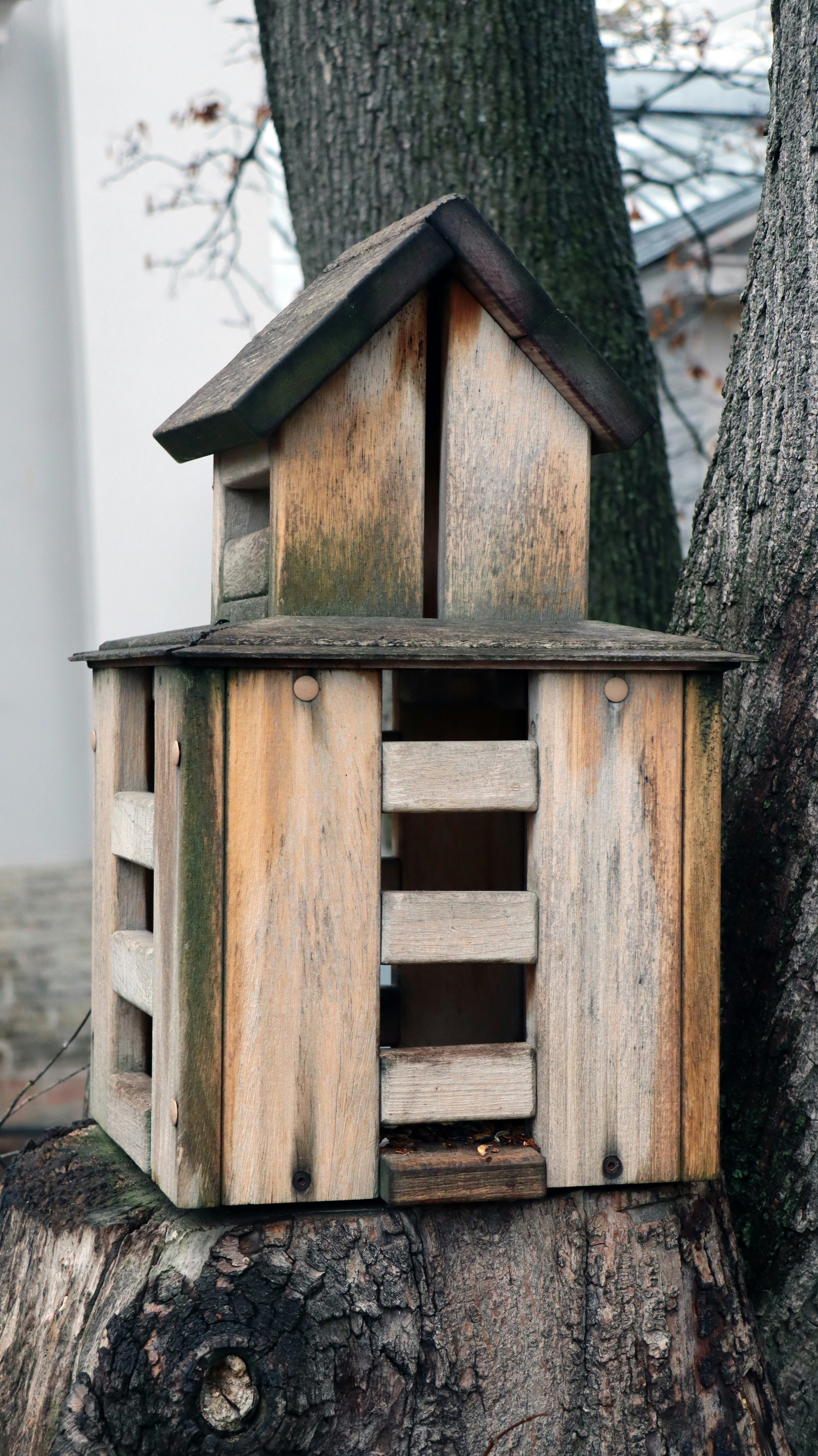 Photo by Ann Ann with Canon EOS M50