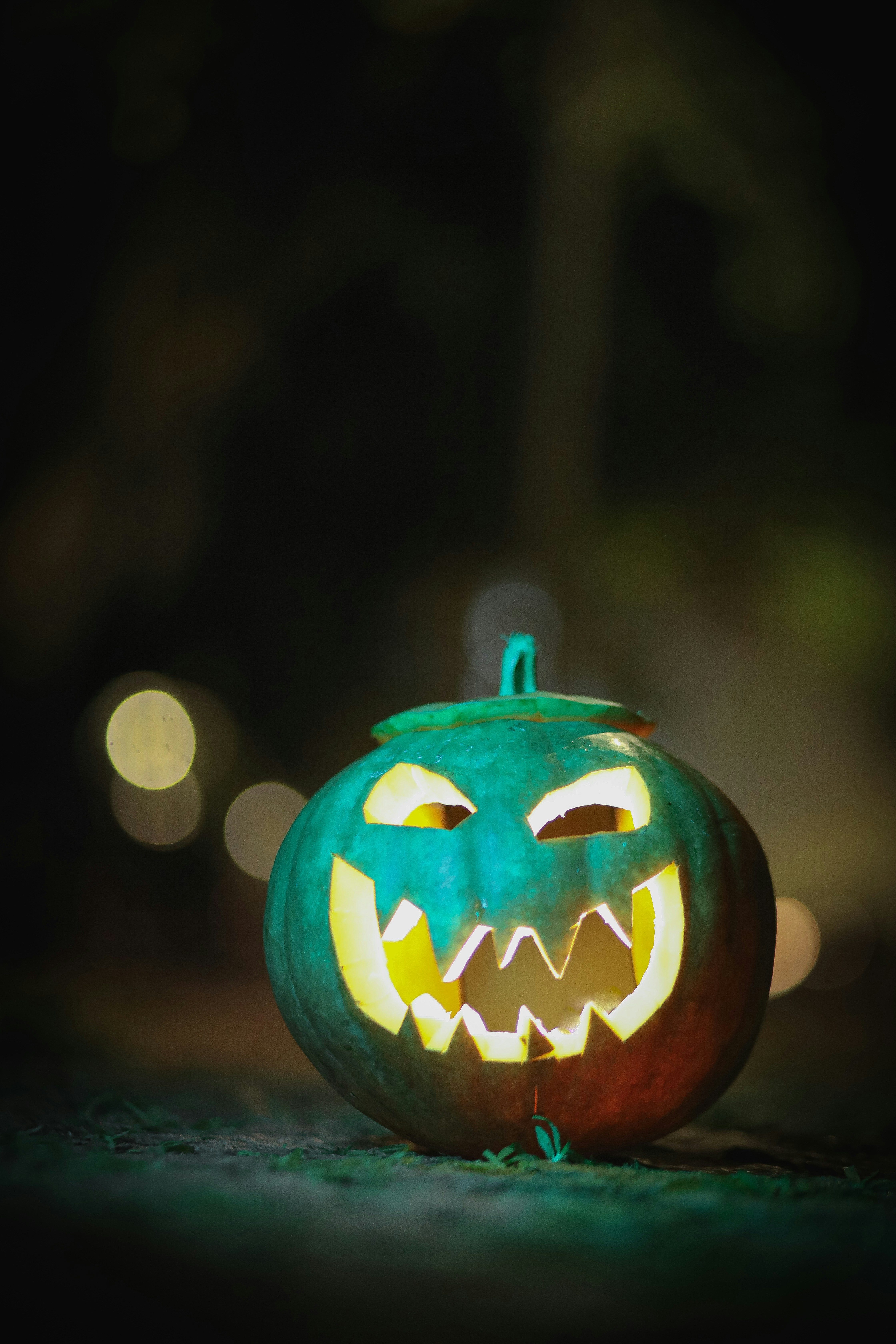 Photo by Maxwell EM with Canon EOS 5D Mark IV