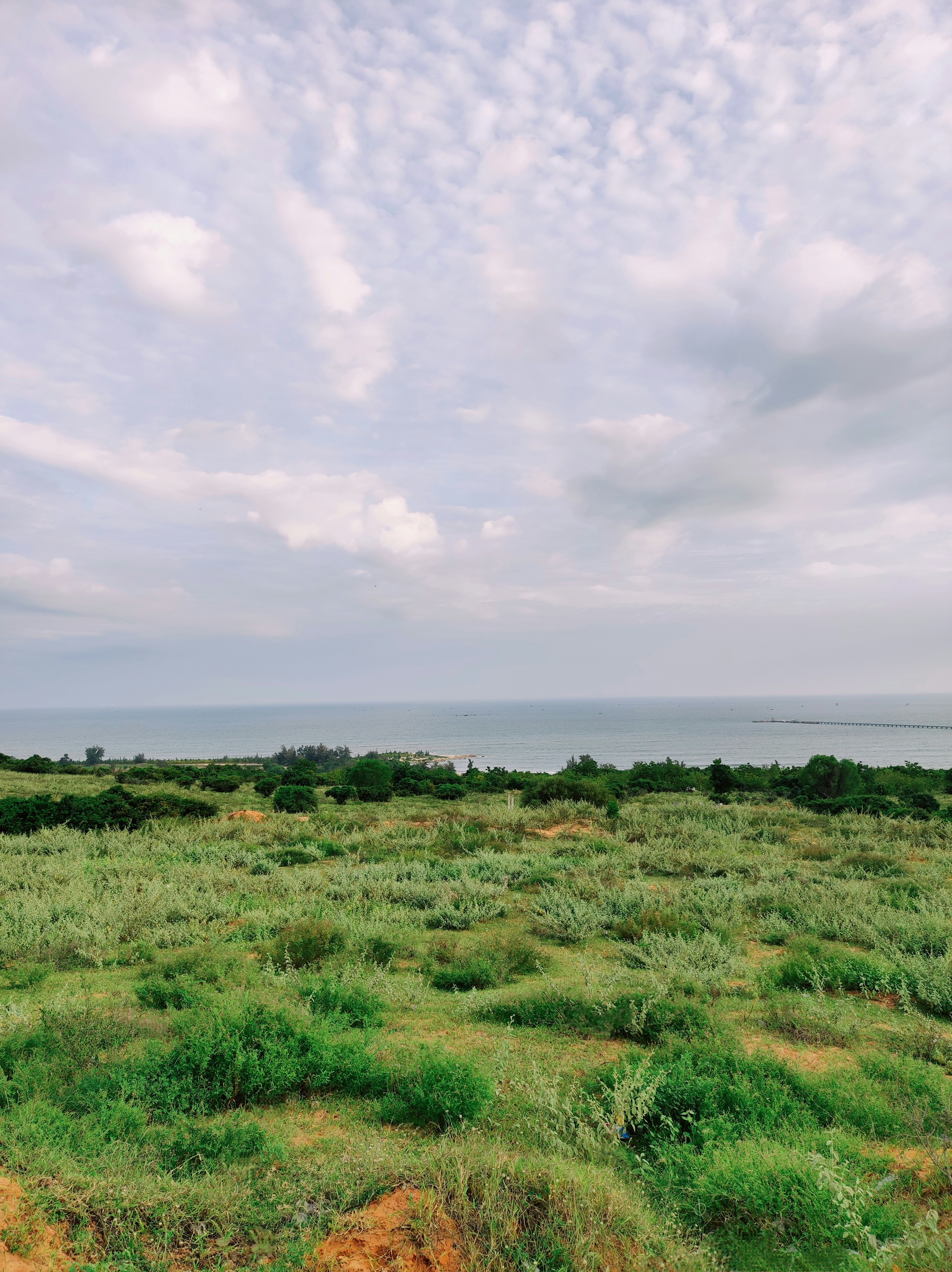 Vast coastal landscape with lush greenery in the foreground and a tranquil sea under a cloudy sky.
