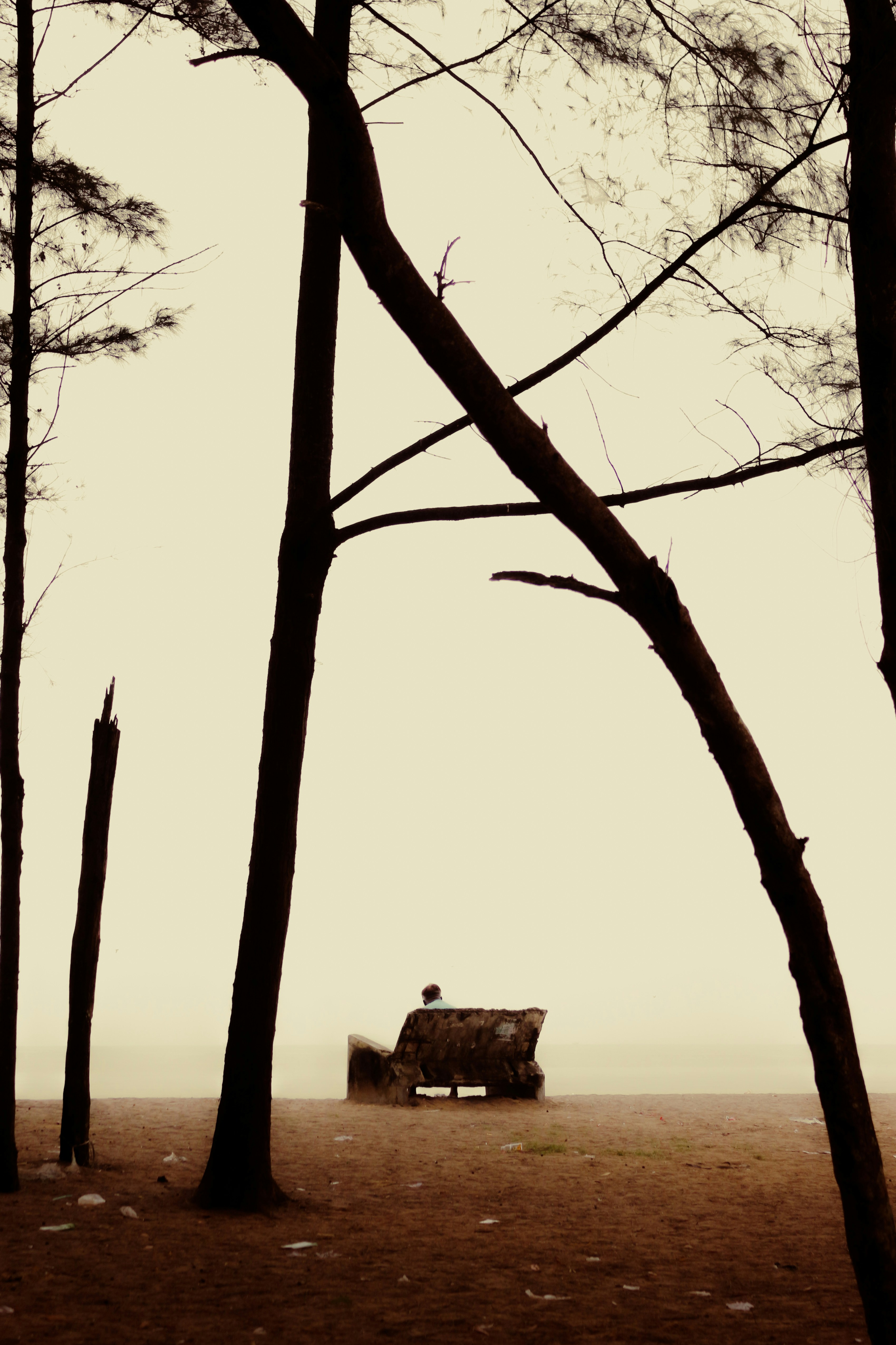 a person sitting in a wagon in a field with trees