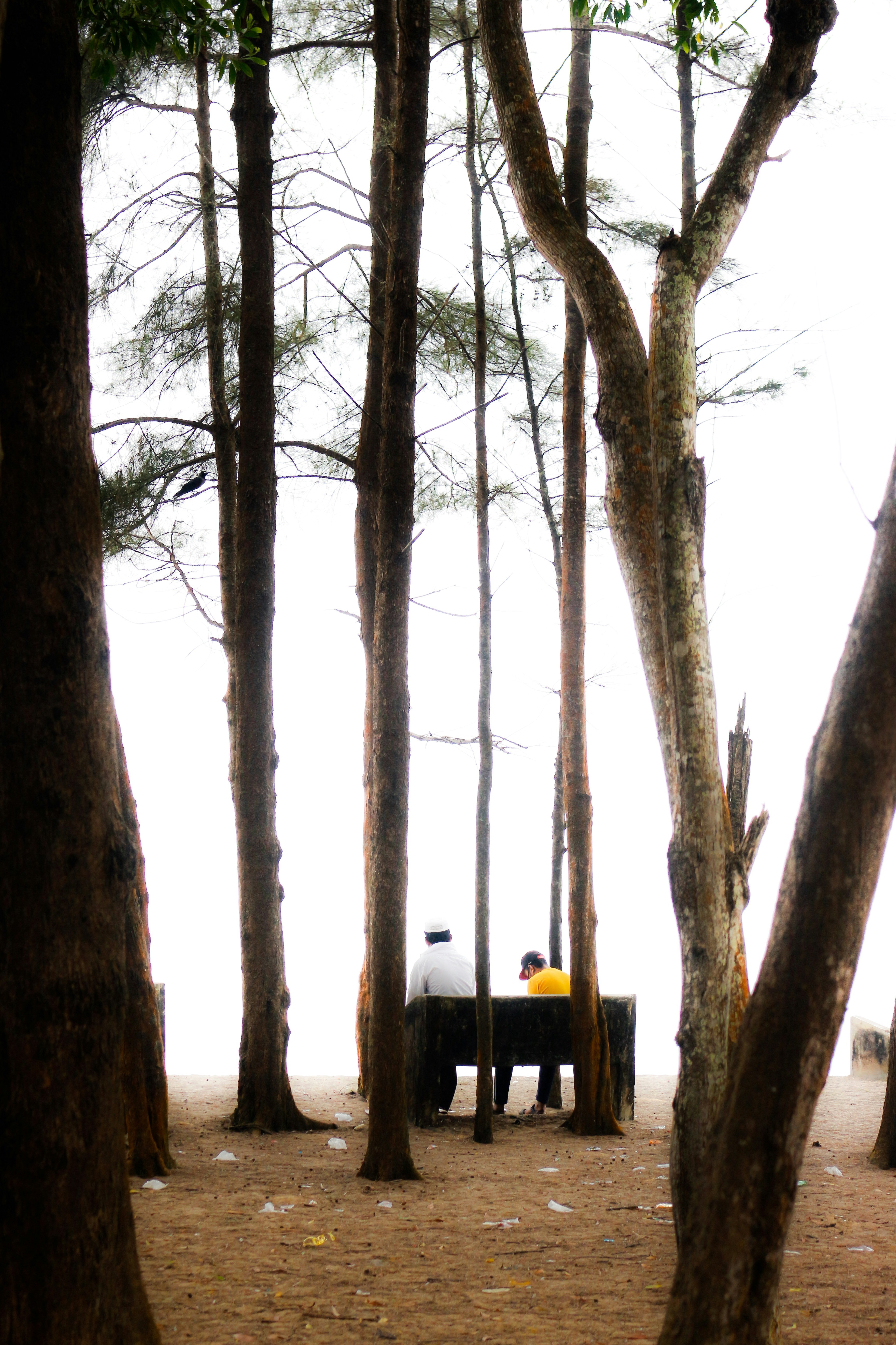 Photo by hilal kh with Canon EOS 700D