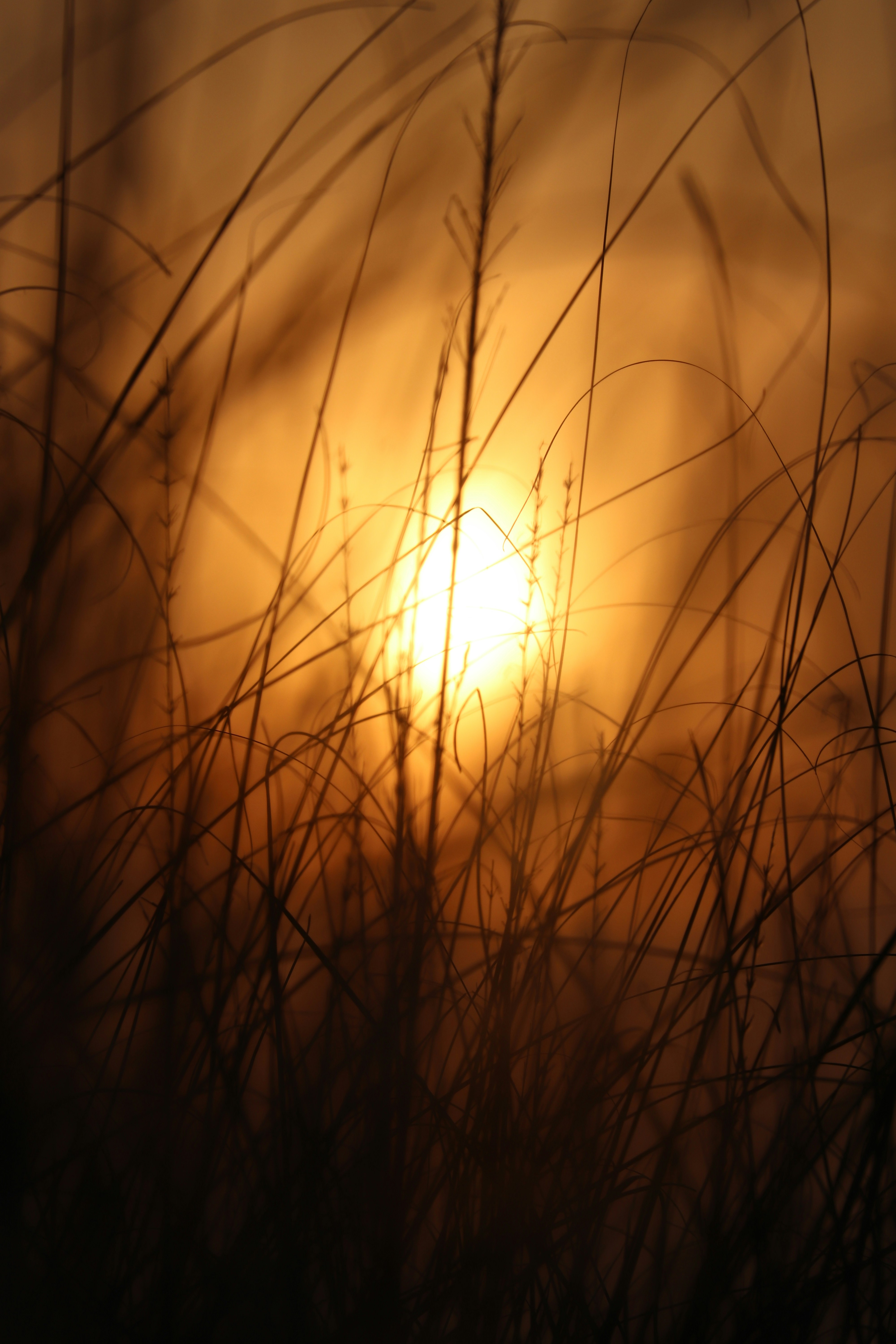 Ein helles Licht am Himmel Foto – Kostenloses Bild auf Unsplash