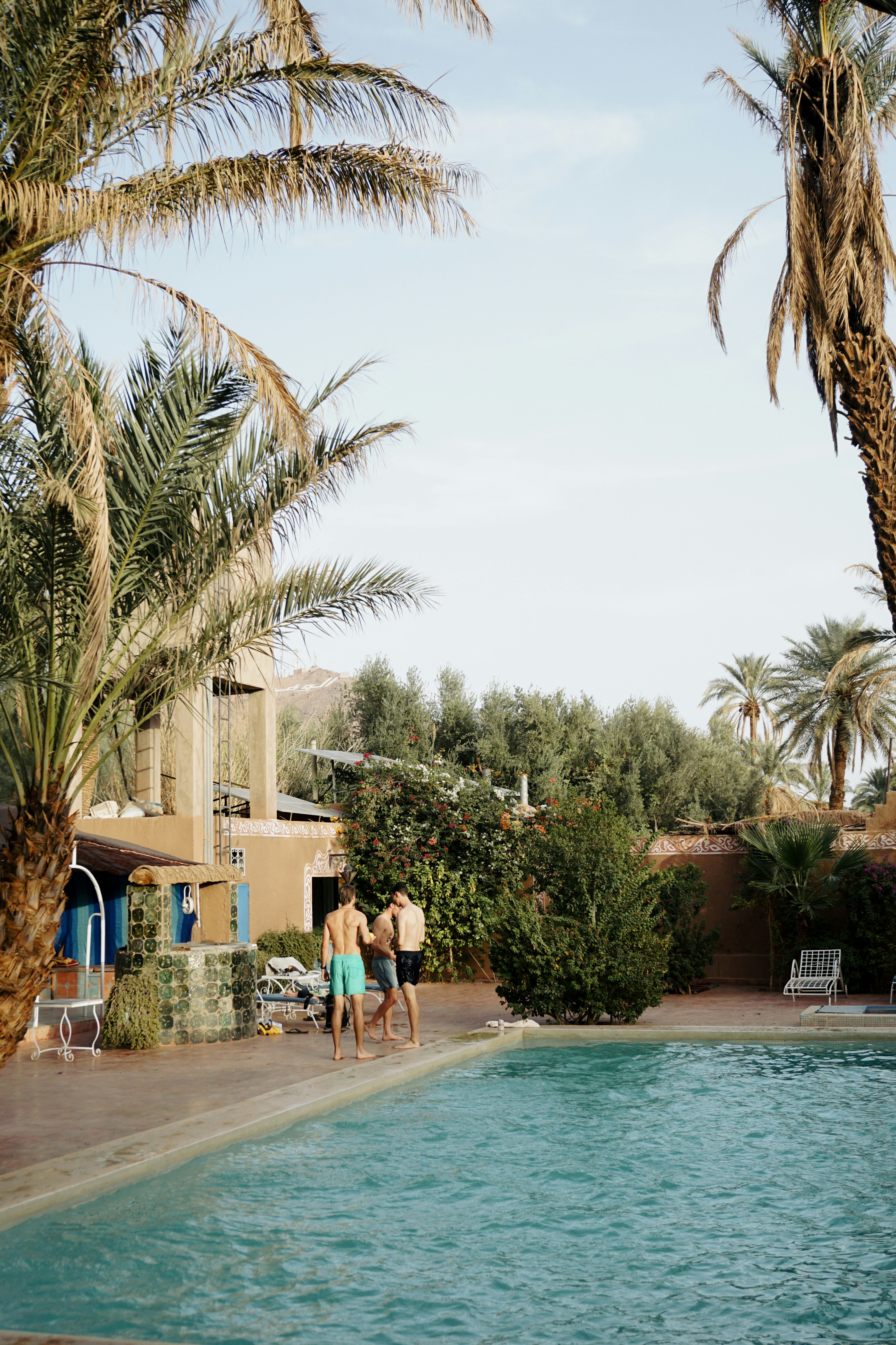 Two men chatting near a tranquil pool surrounded by palm trees and lush greenery.