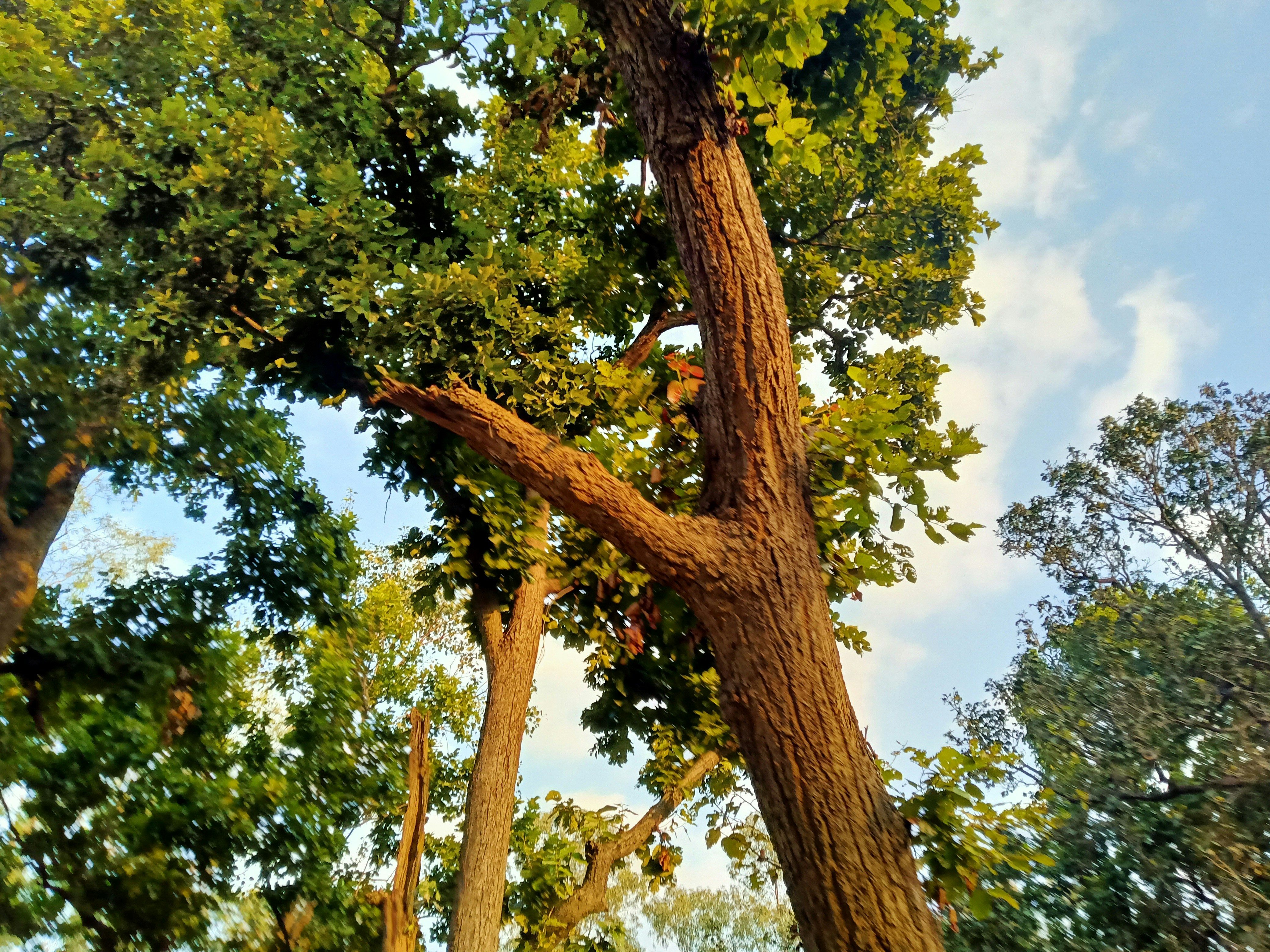Xeon jr. (@xeon32) | Unsplash Photo Community