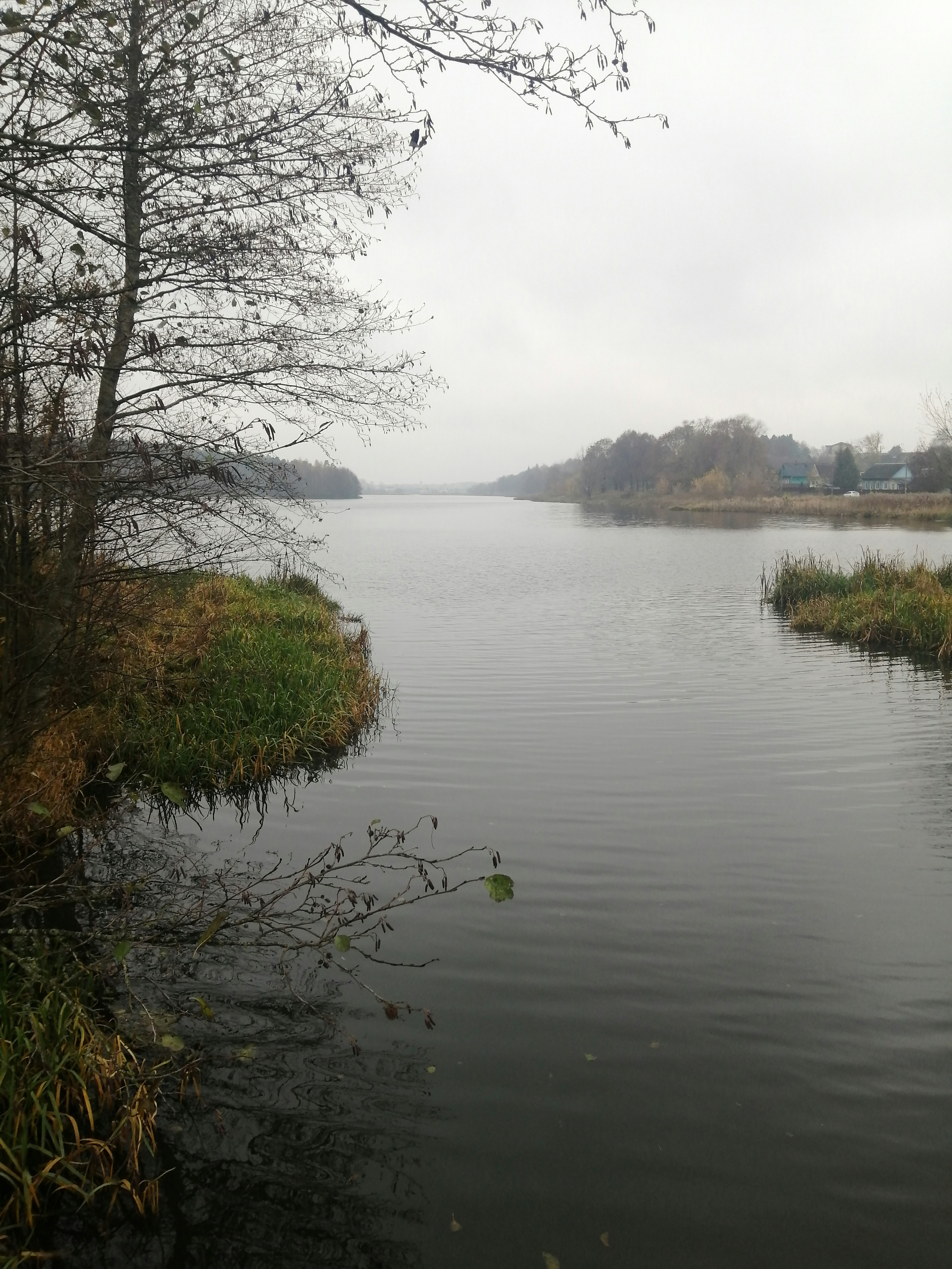 Une rivière avec des arbres sur le côté photo – Photo Fond naturel ...