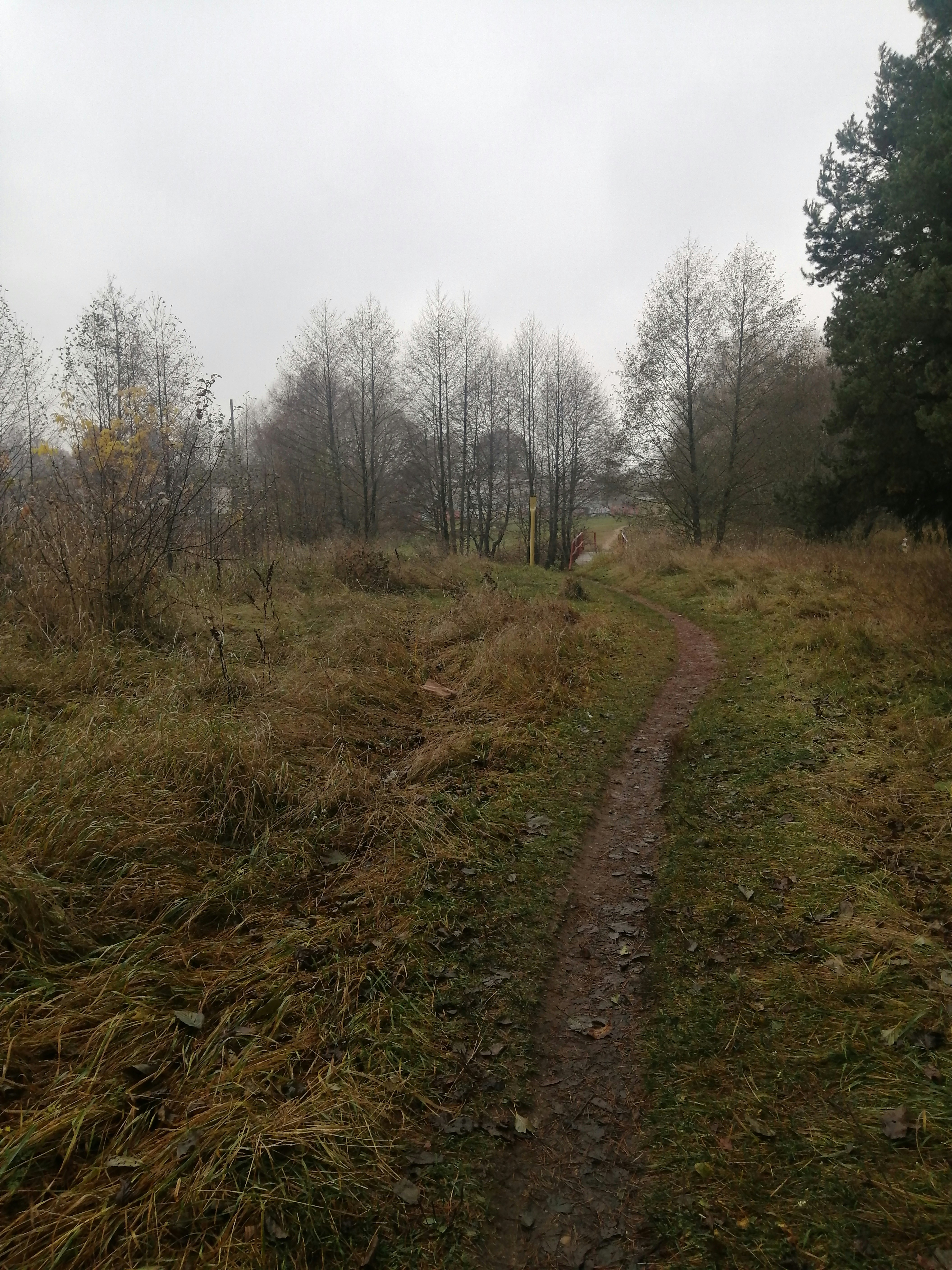 Narrow dirt path winding through a misty landscape with sparse trees and overgrown grass.
