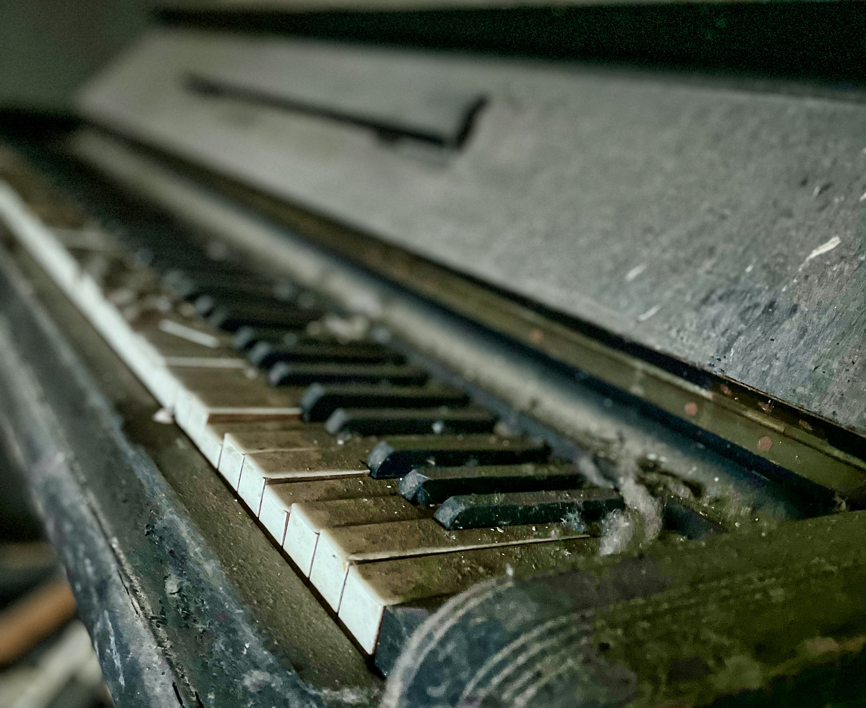 A close up of a keyboard photo – Free Chernobyl Image on Unsplash