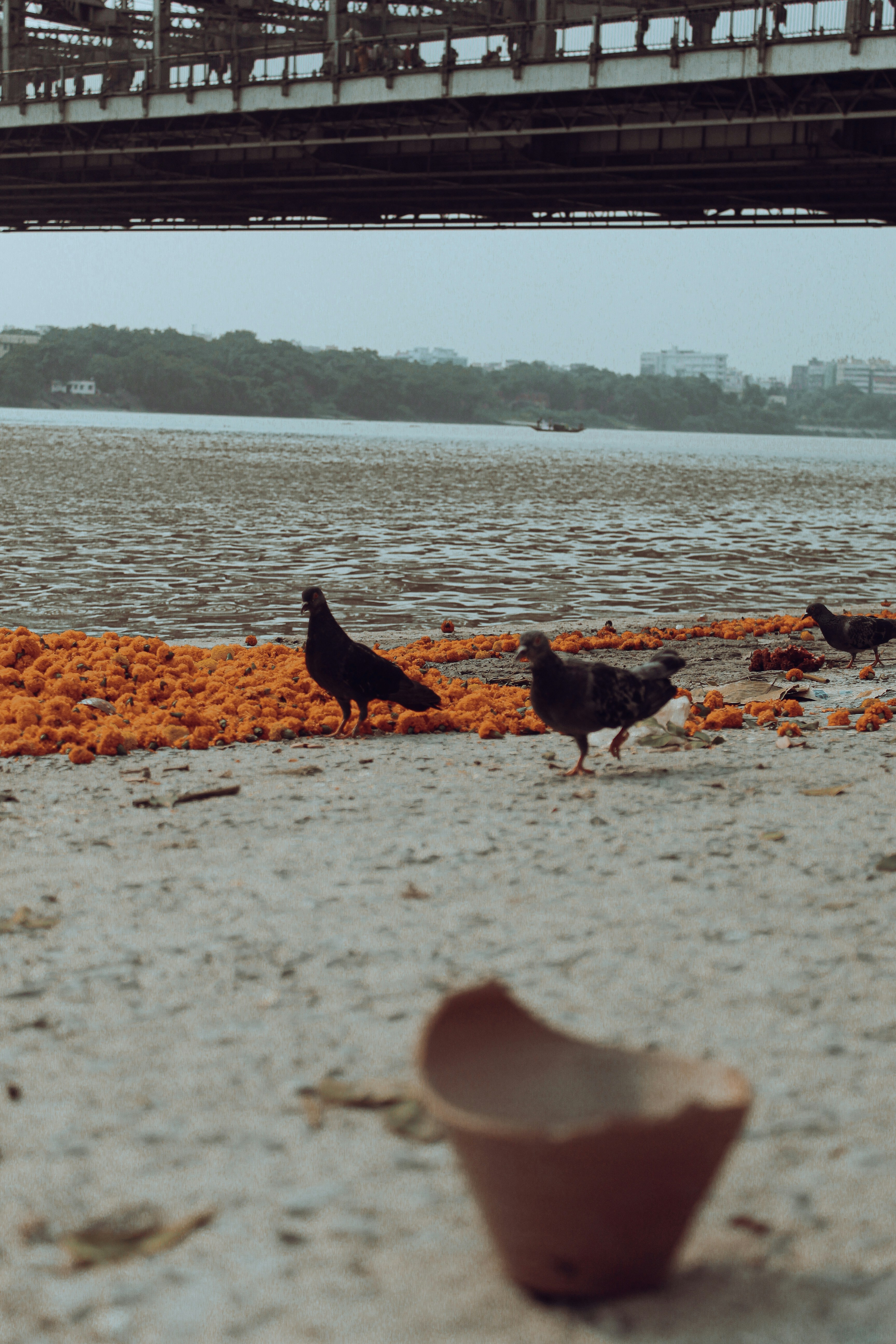 Photo by Aniket Ganguly with Canon EOS 1300D