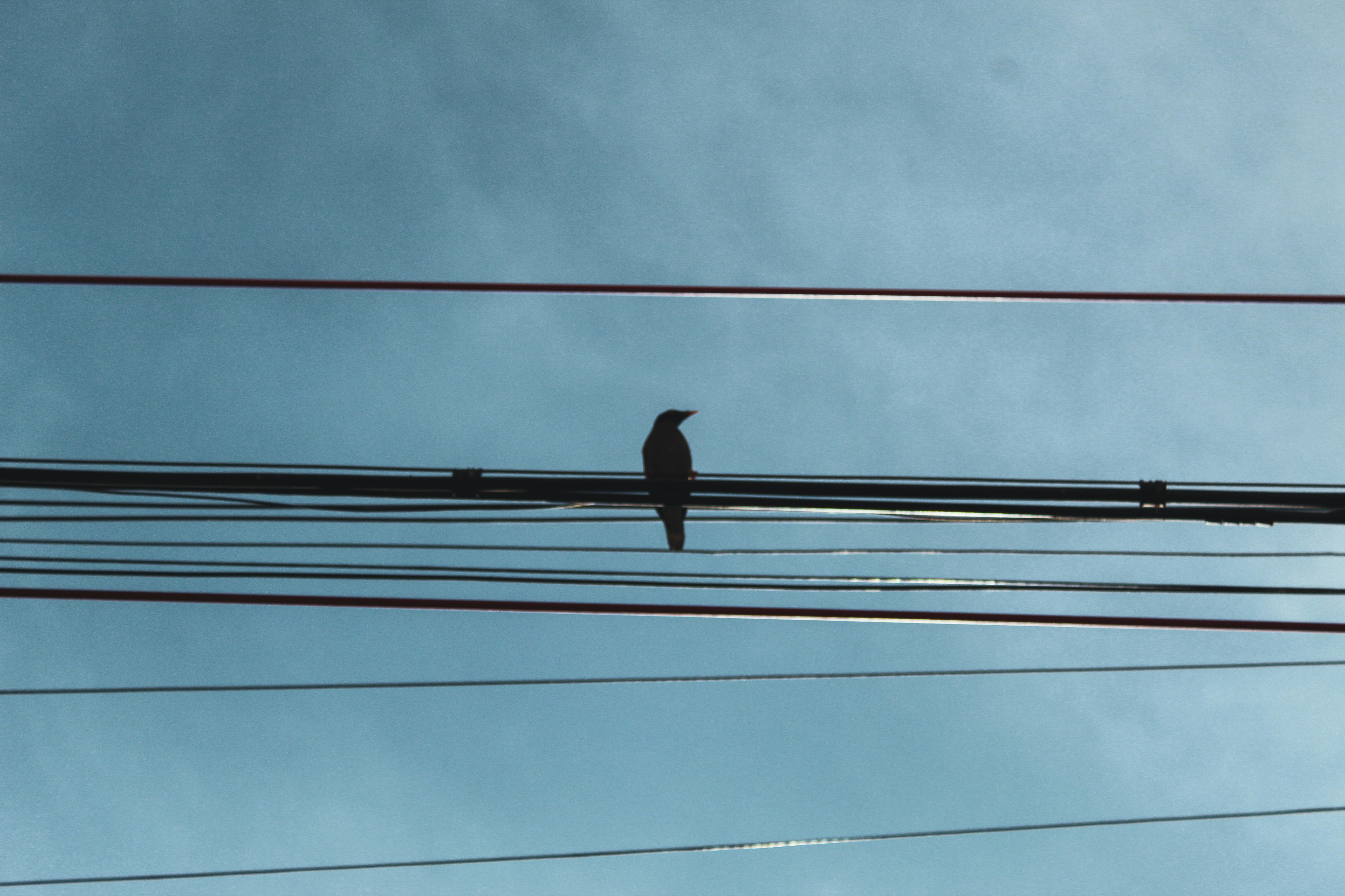 Photo by Aniket Ganguly with Canon EOS 1300D