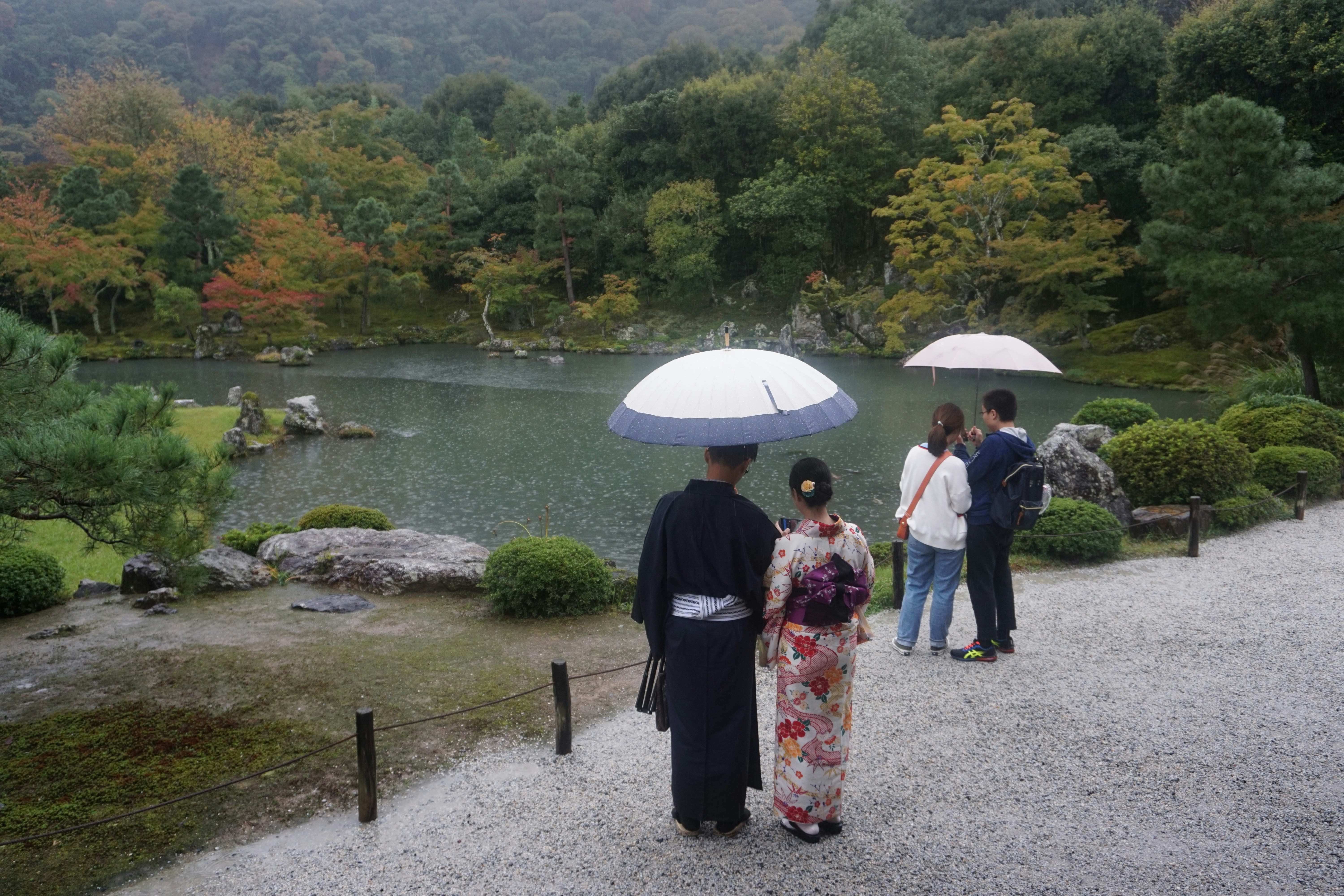 Serenity Under Umbrellas: A Rainy Garden Stroll