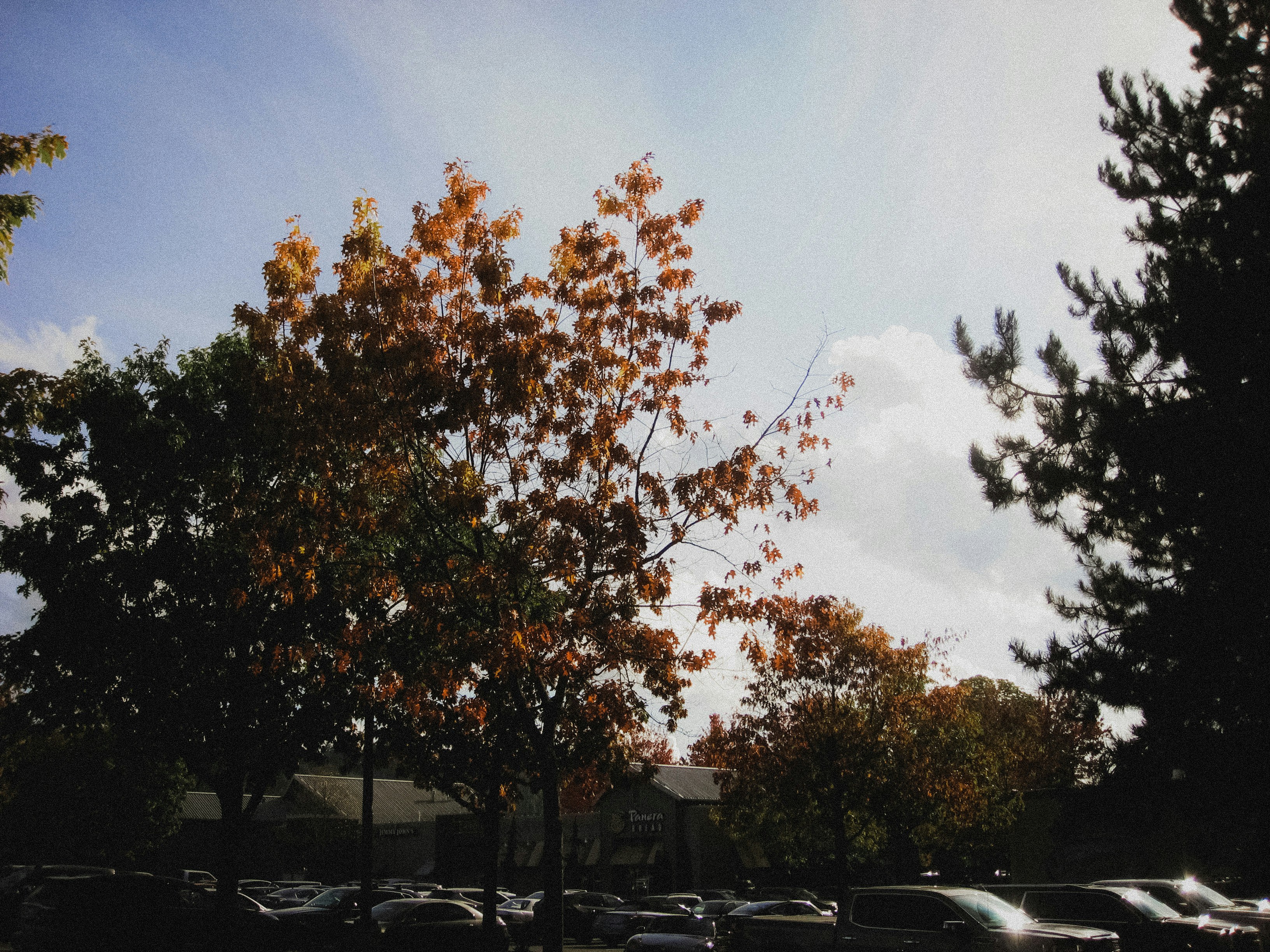 Duncan Shaffer (@duncan_shaffer) | Comunidad de fotos de Unsplash