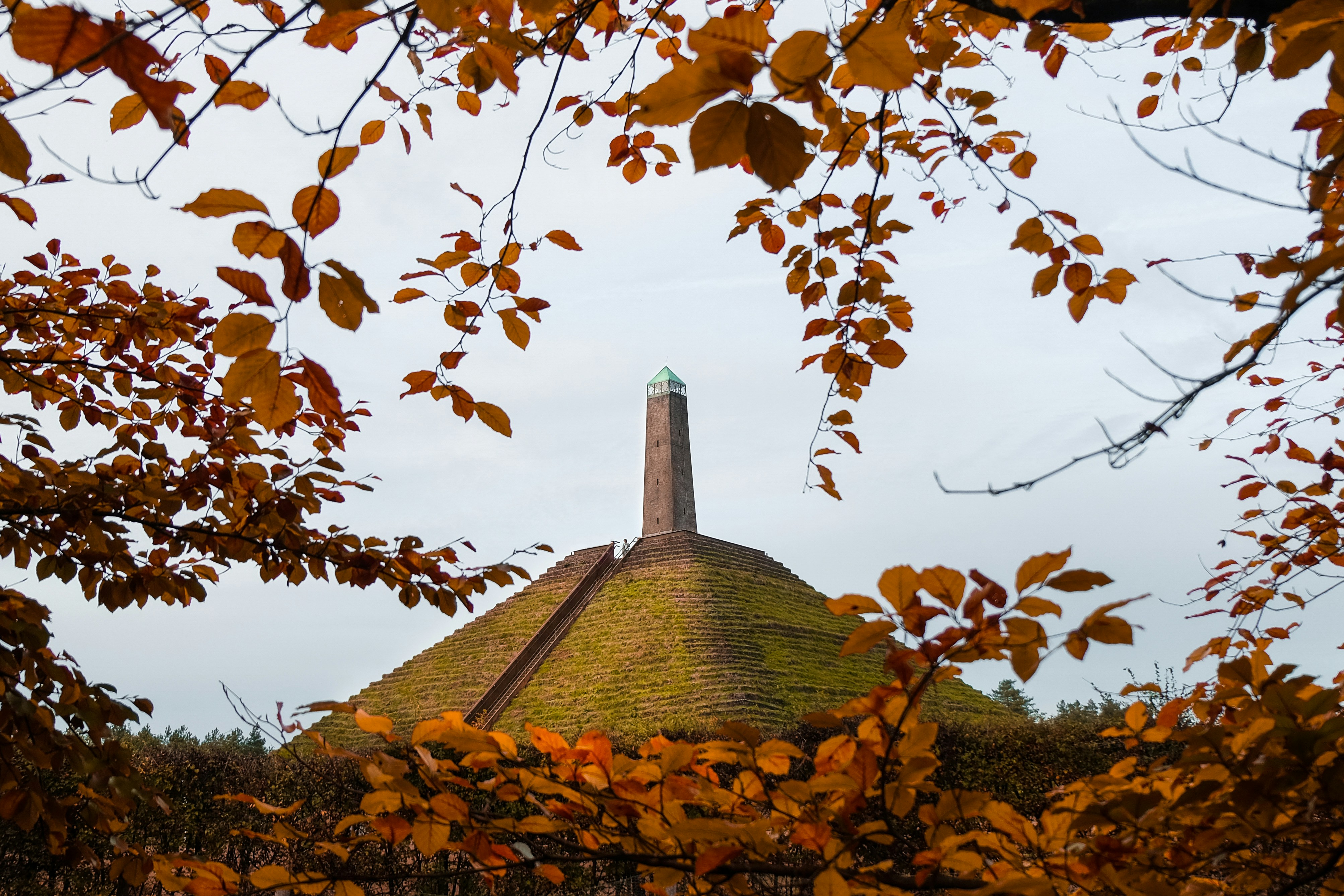 Autumn Roofline: A Chimney Reaching Through Golden Foliage