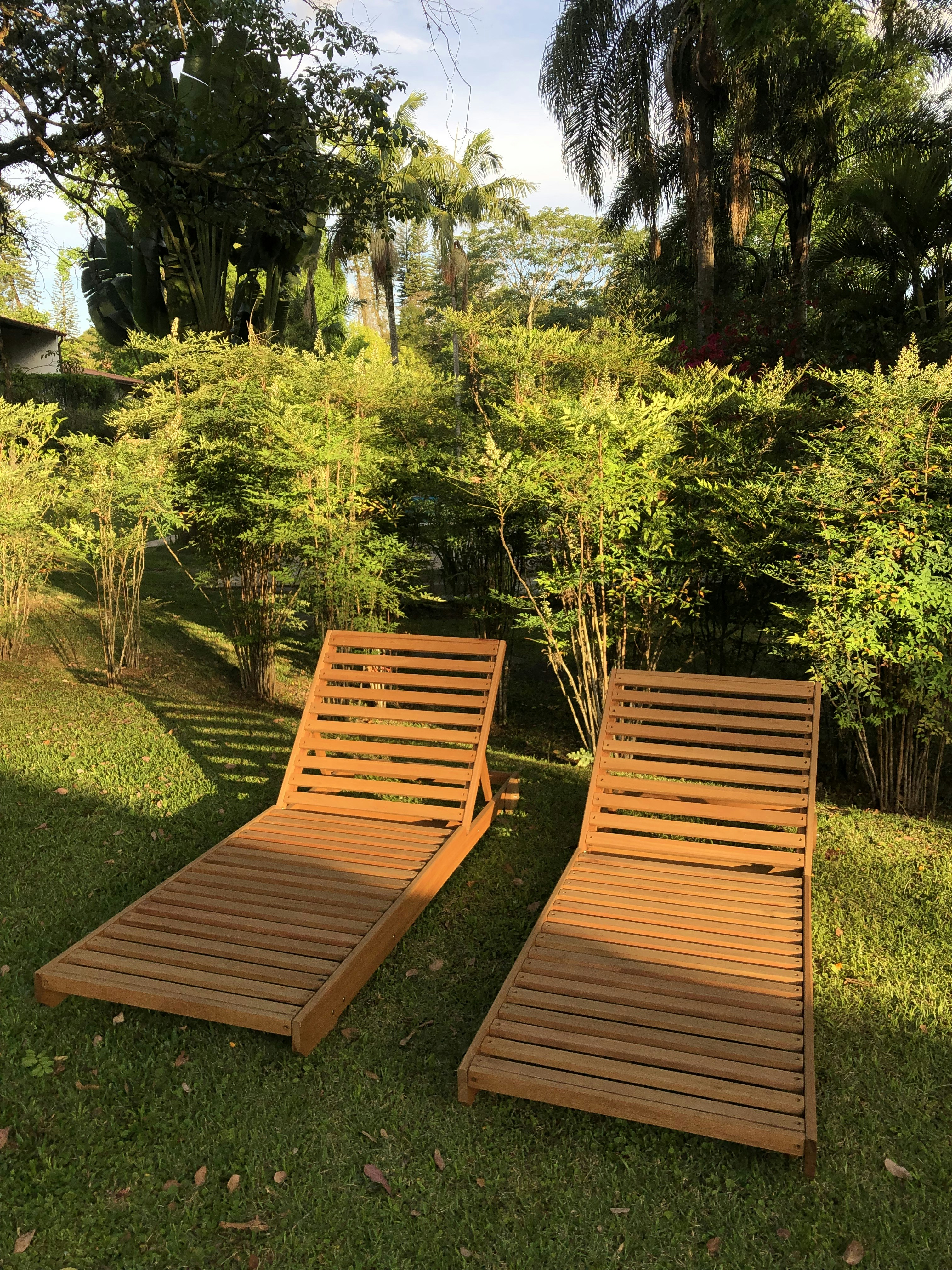 Twin Teak Loungers Framed by a Sunlit Garden Hedge