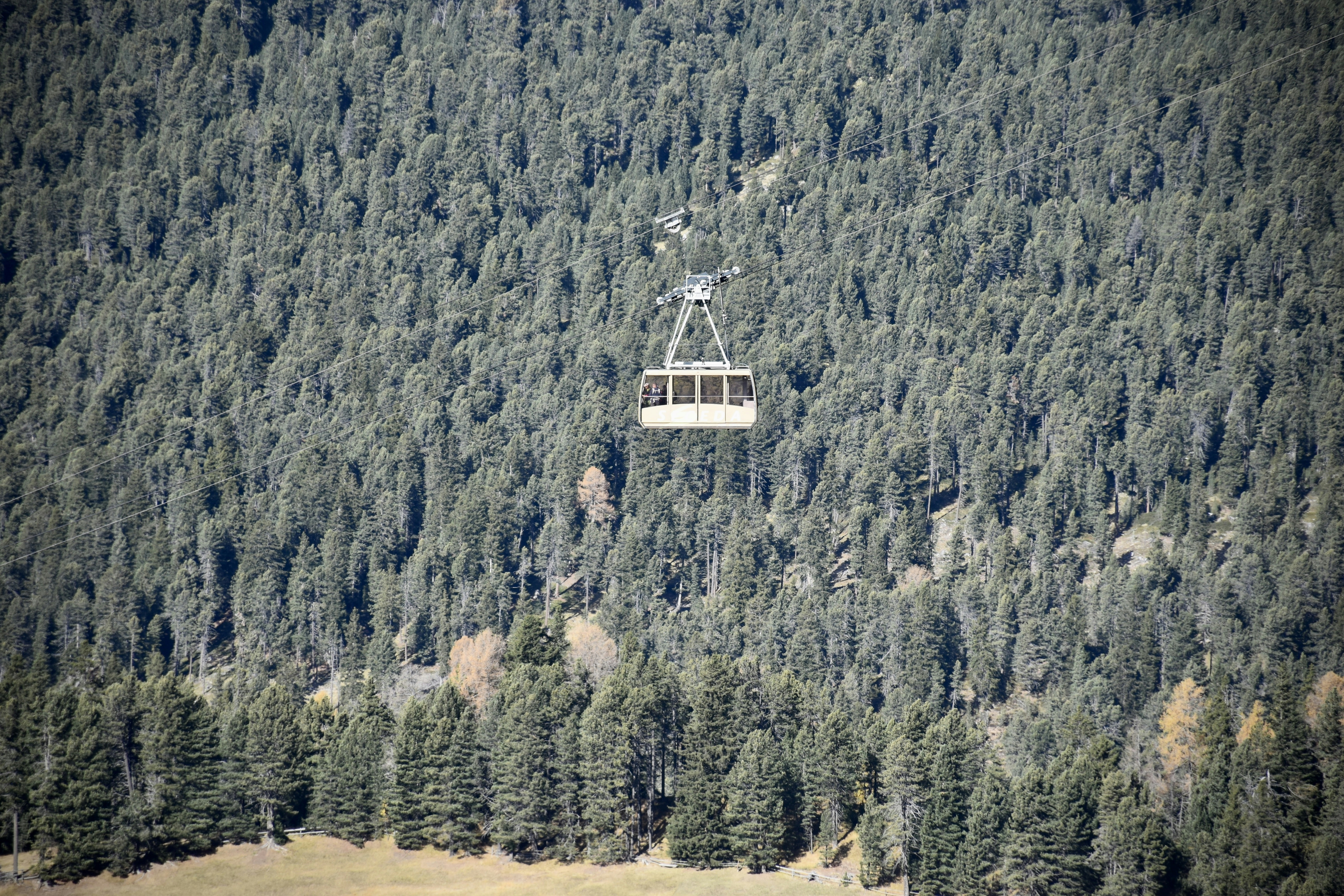 Midair Lift Among Pines: A Cable Car Traverses a Forested Ridge