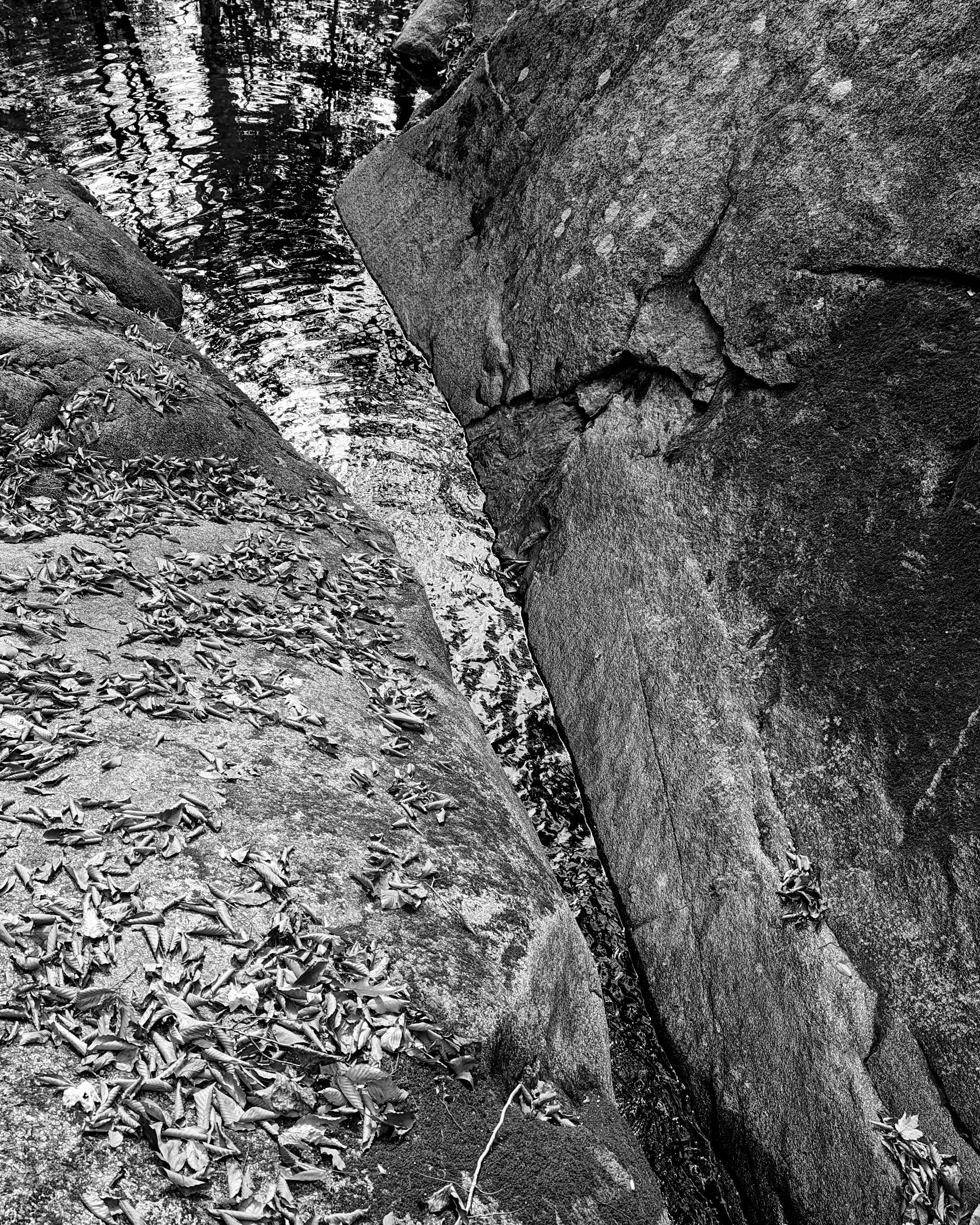 A serene black-and-white scene featuring smooth rocks lined with fallen leaves beside a gently flowing stream.