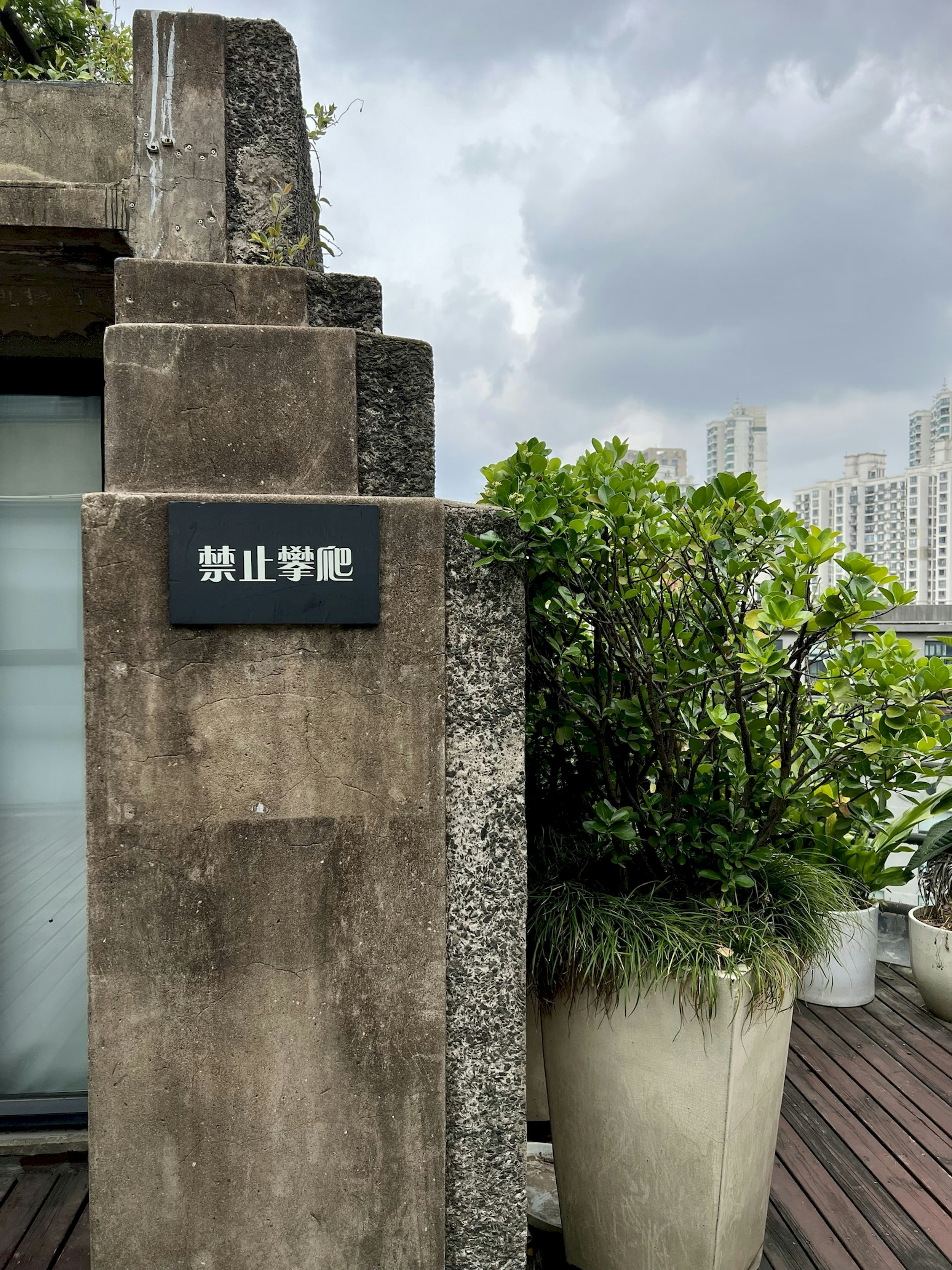 Rooftop Boundary: No-Climbing Sign Guarding Potted Greenery Against a Distant Skyline