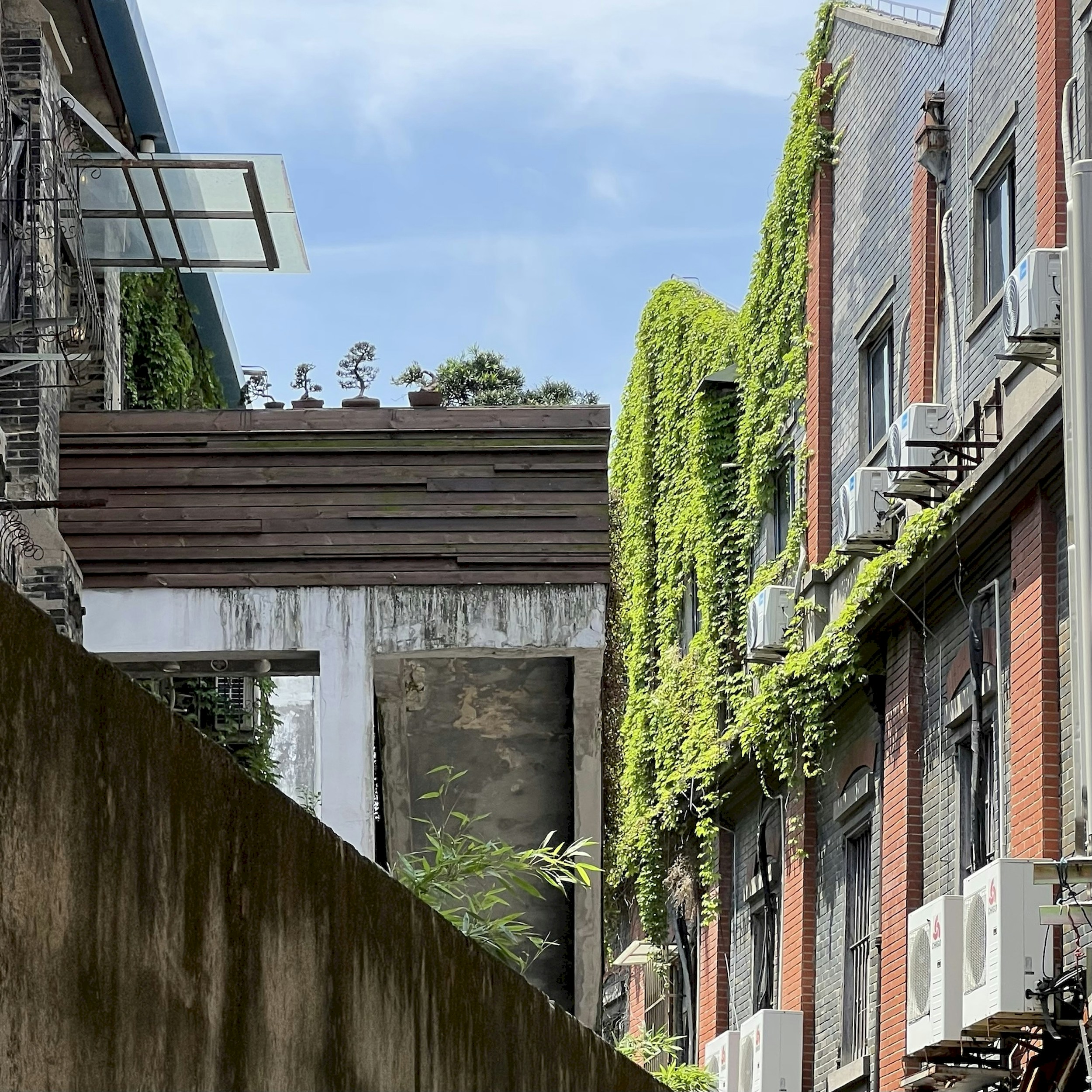 A row of buildings with vines growing on the walls photo – Free ...