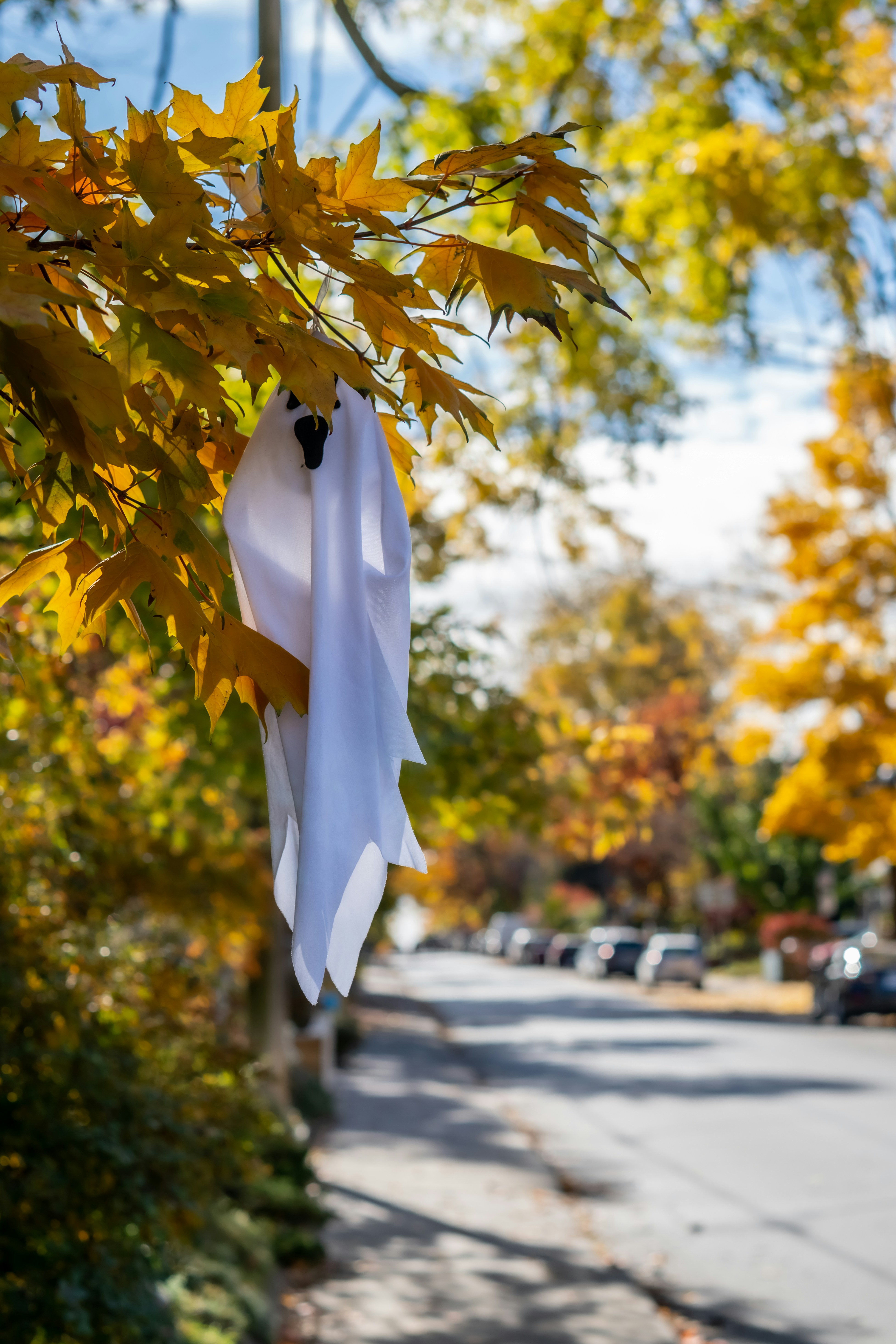 White Garment Adrift Among October Leaves Along a Quiet Suburban Street