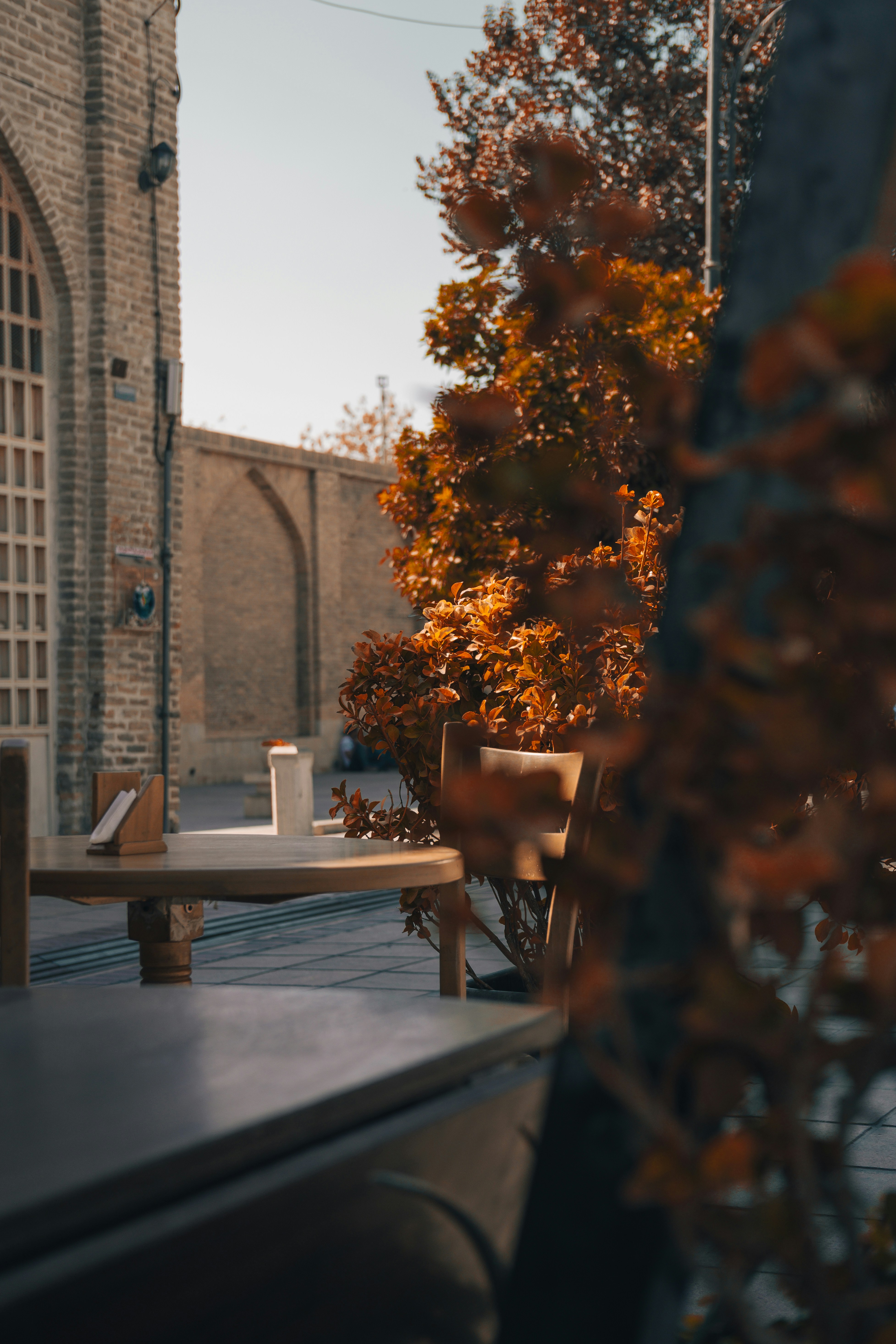 Amber Foliage Framing a Quiet Brick Courtyard Café
