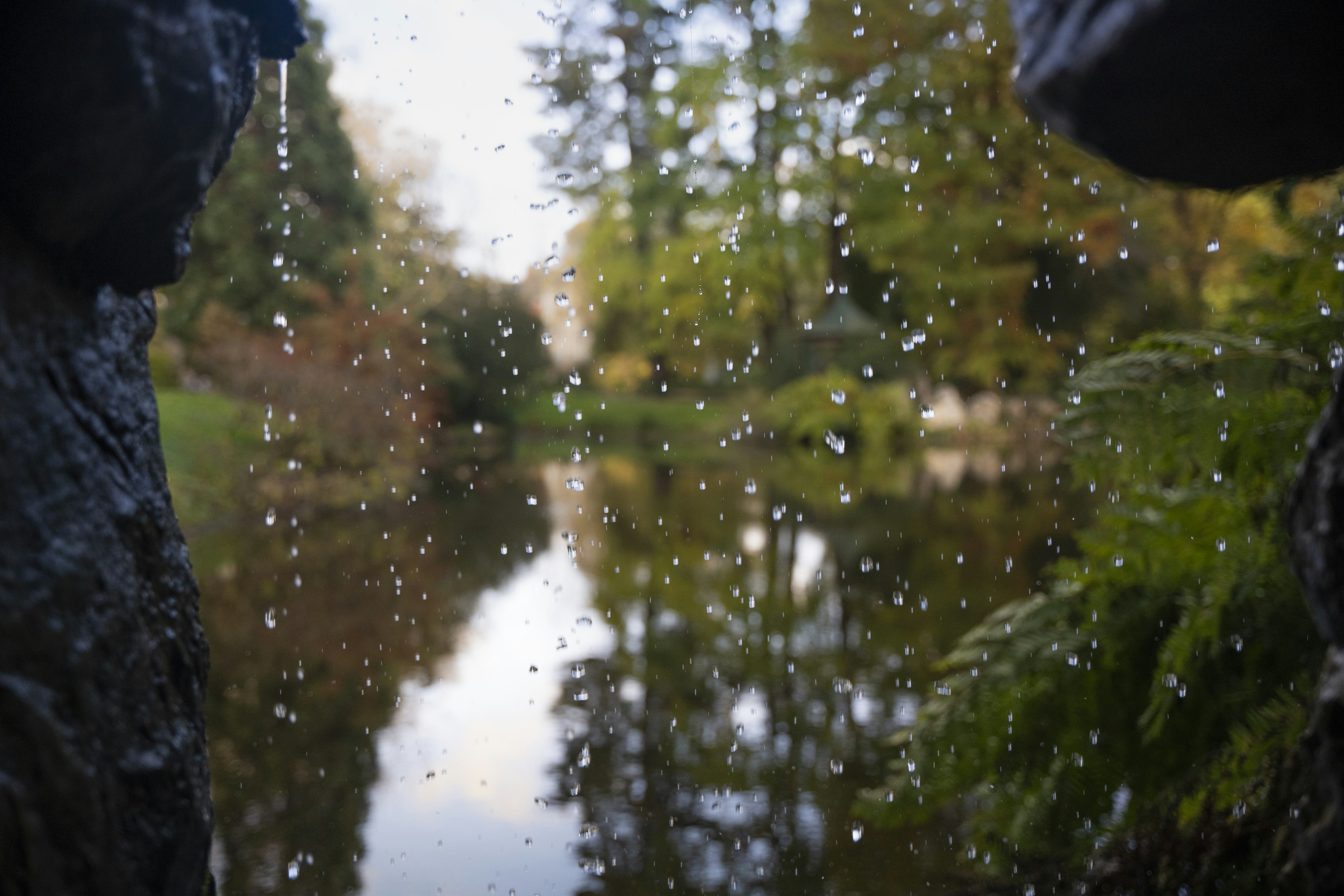 Rain-kissed waterfall frame: droplets in a tranquil garden pool