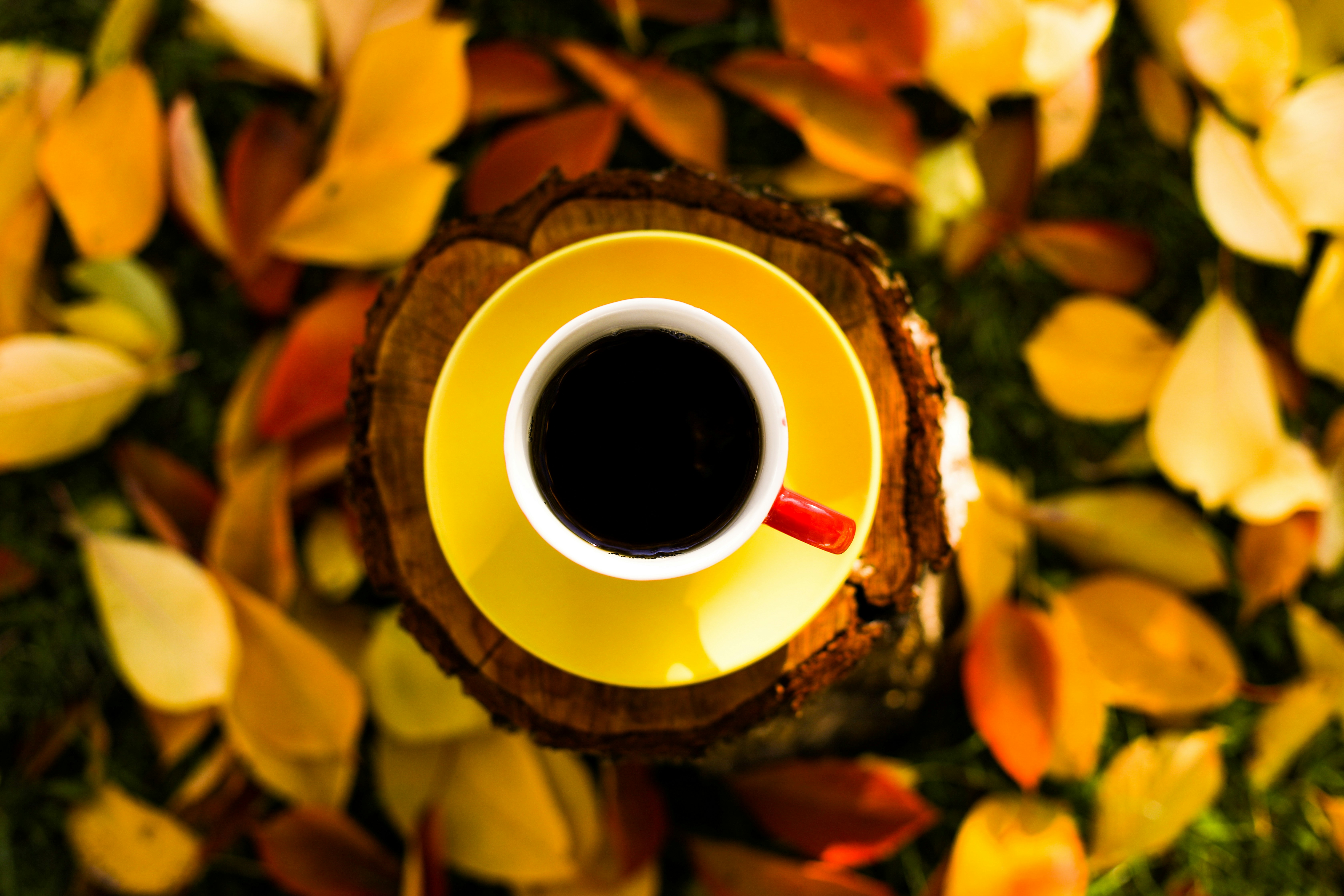 Autumn Centerpiece: Yellow Coffee Cup on a Wooden Stage