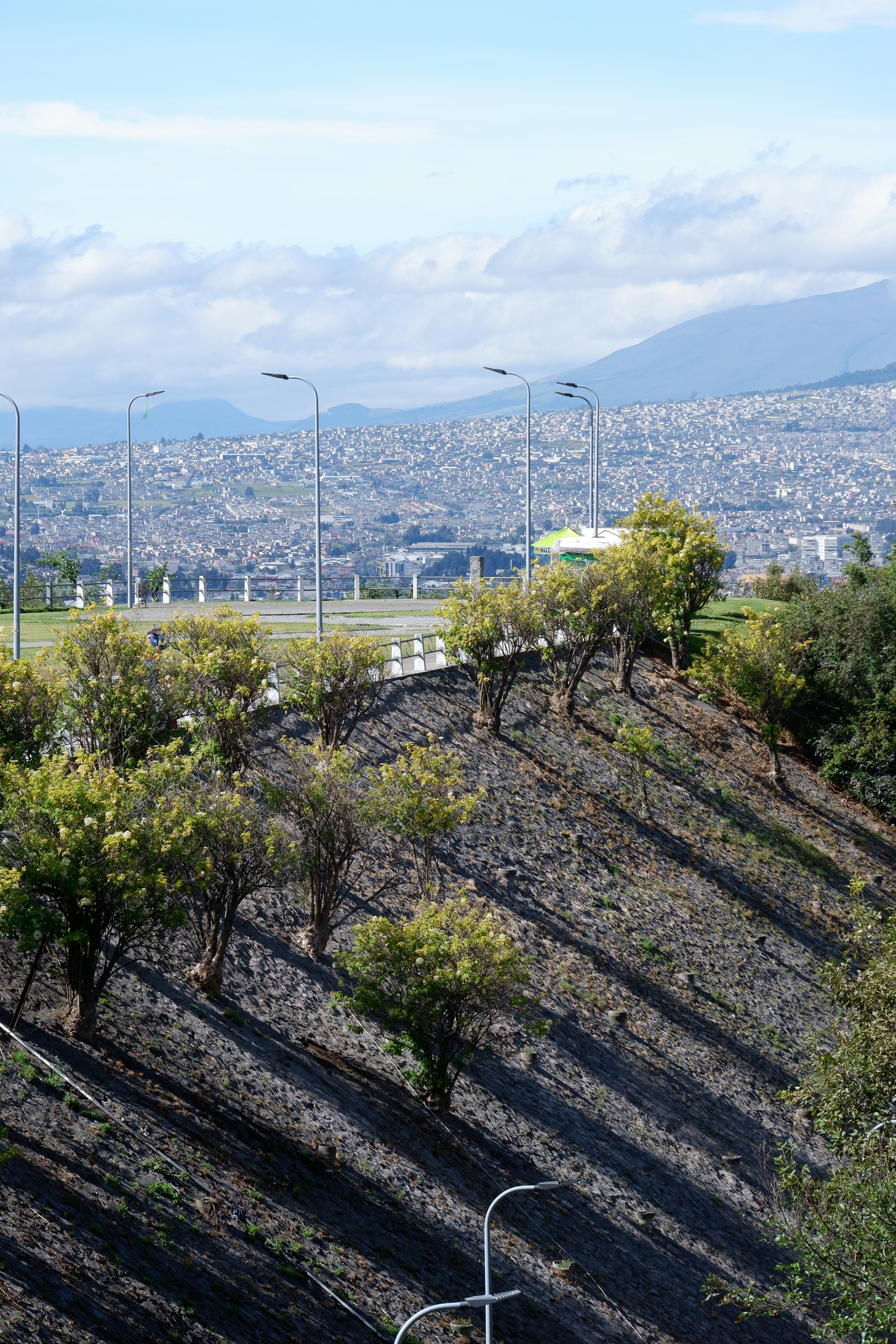 Photo by Khulood Alghasra with Fujifilm X-T100