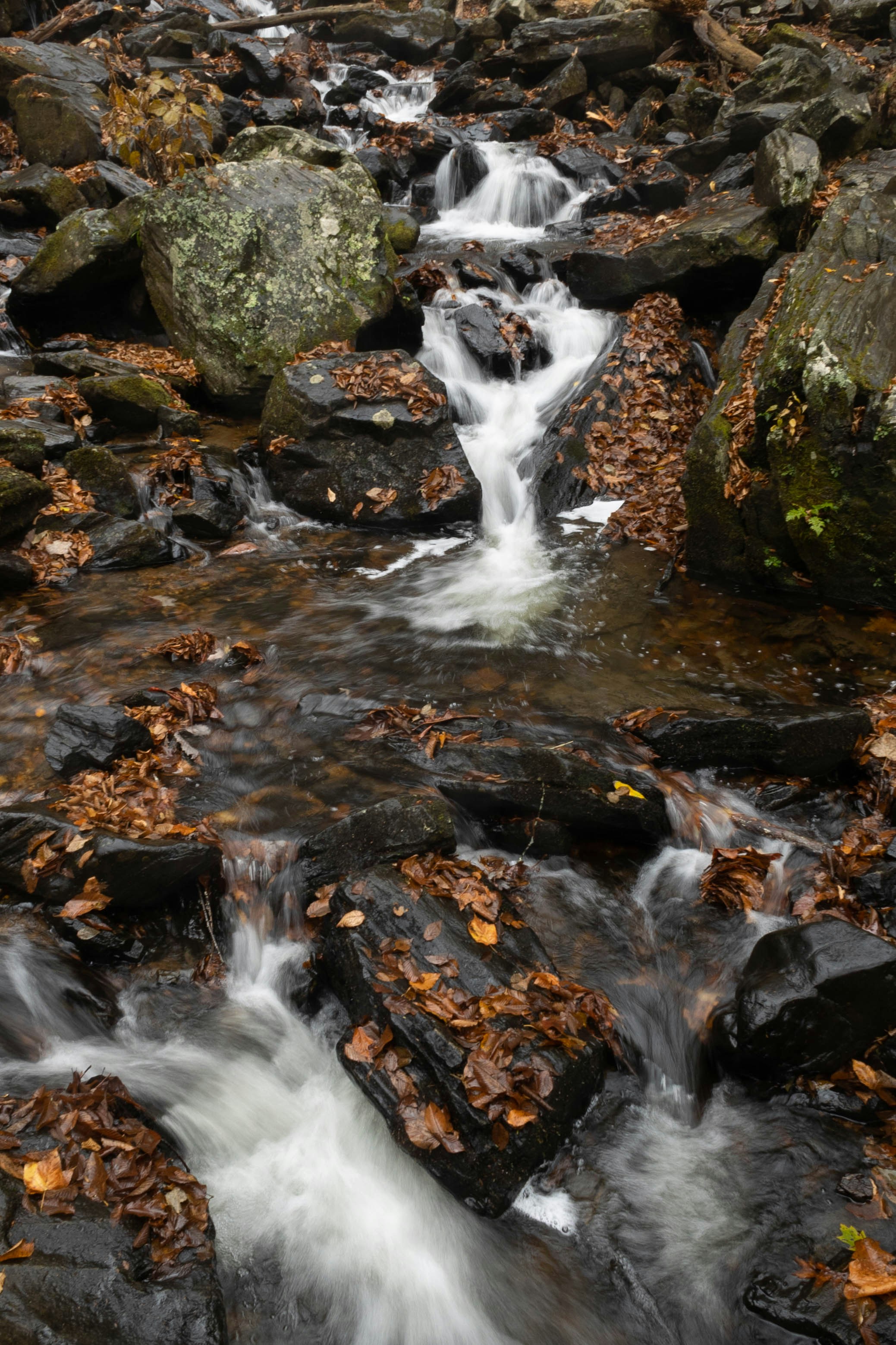 A small waterfall with rocks photo – Free North carolina Image on Unsplash