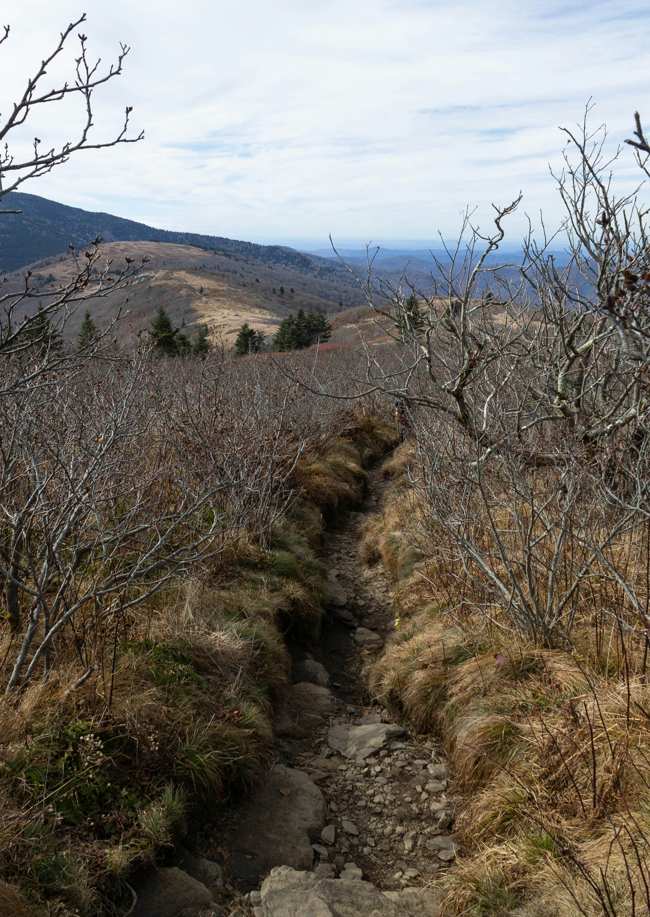 A rocky path through a dry landscape photo – Free Carvers gap Image on ...