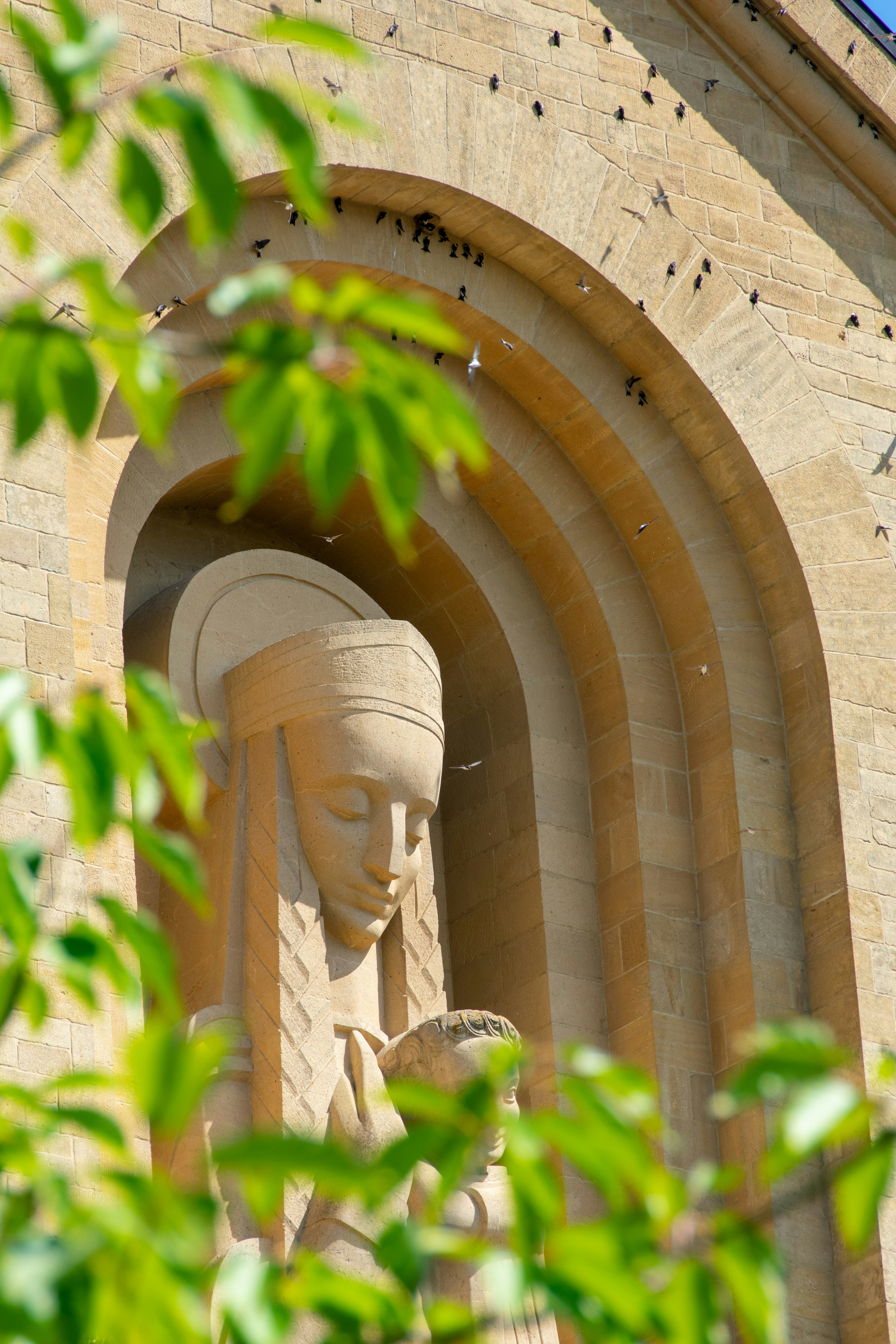 A flock of birds gathering on the facade of the Orval monastery.