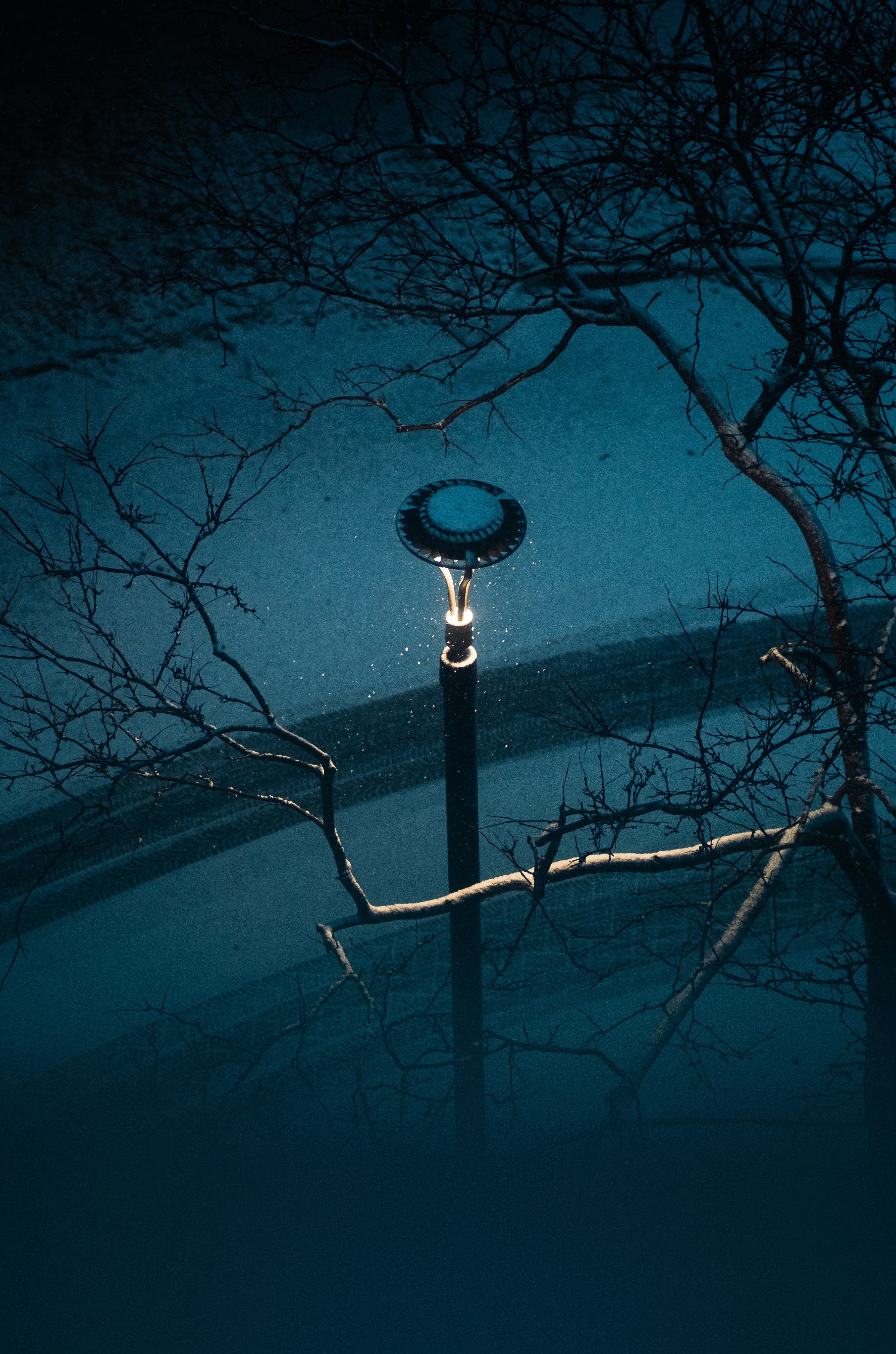 Midnight Lantern: A Snow-Cloaked Path Illuminated by a Suburban Glow
