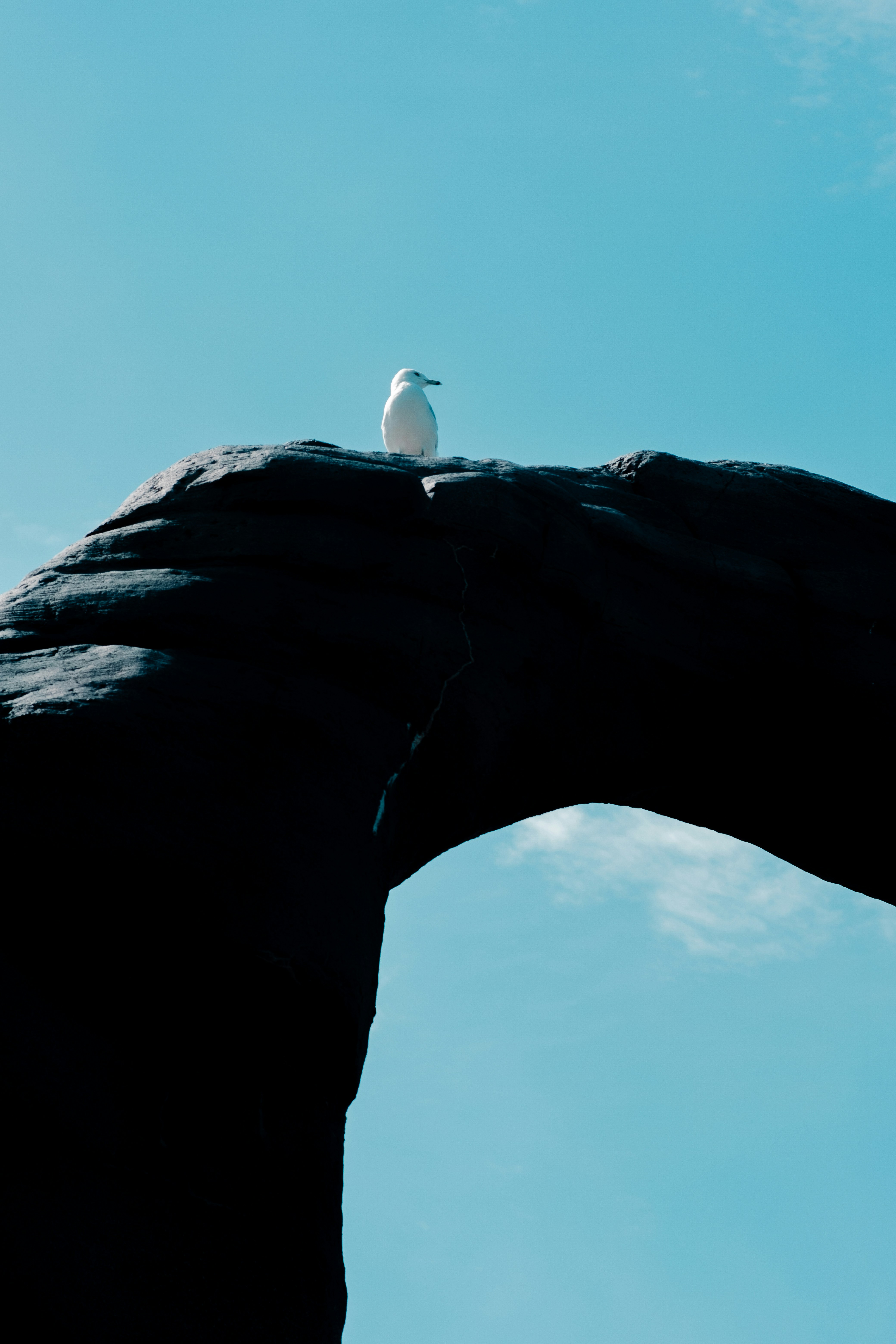 A white bird perched atop a dark rock arch against a bright blue sky, embodying solitude and tranquility.