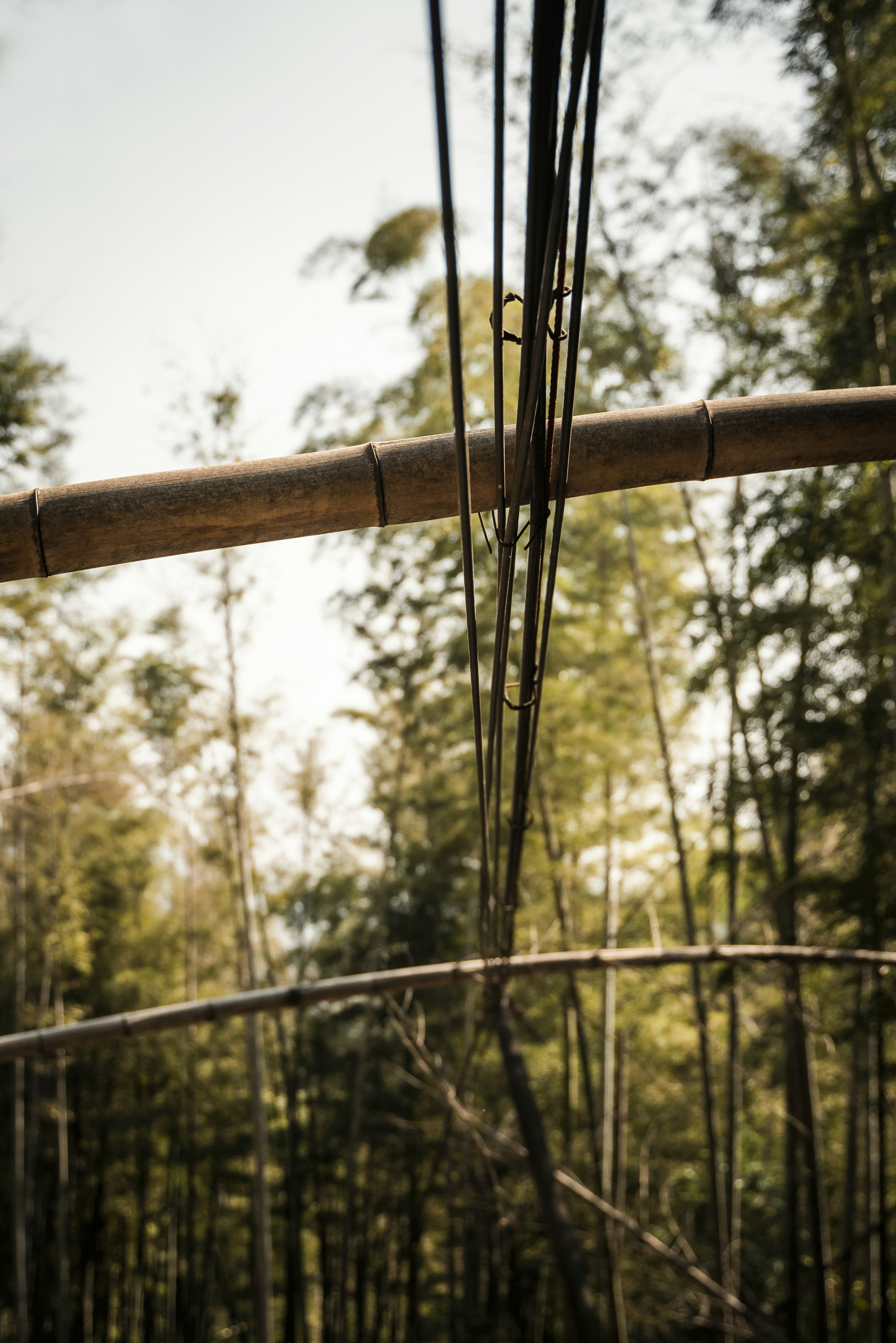 a wooden structure in the woods