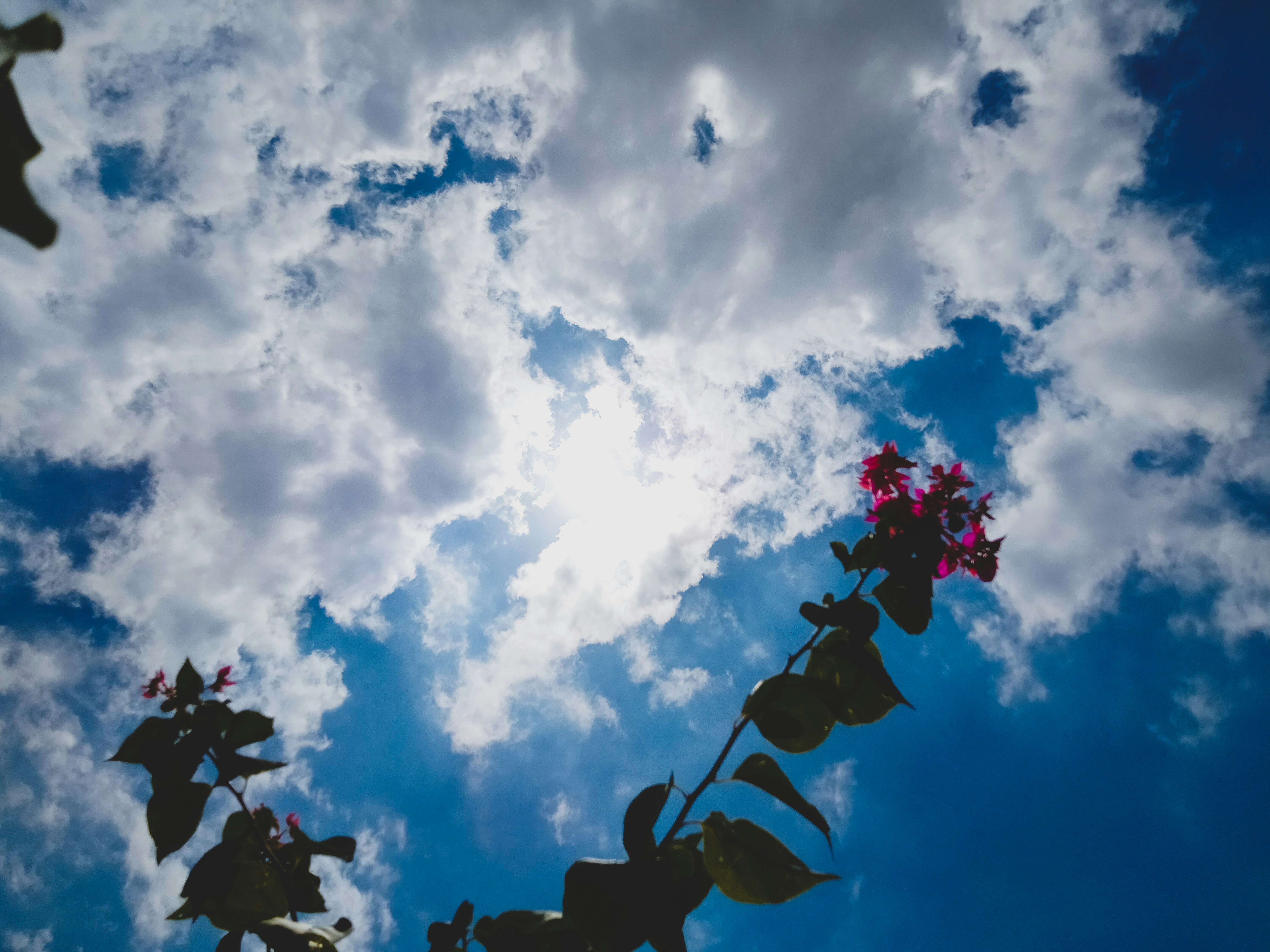 Photo by joba khan with Oppo F17